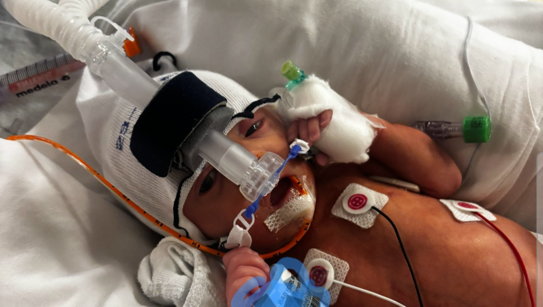 Fundraiser for Michaela Jean Davis by Tanya Swinney : Standing with Our ...