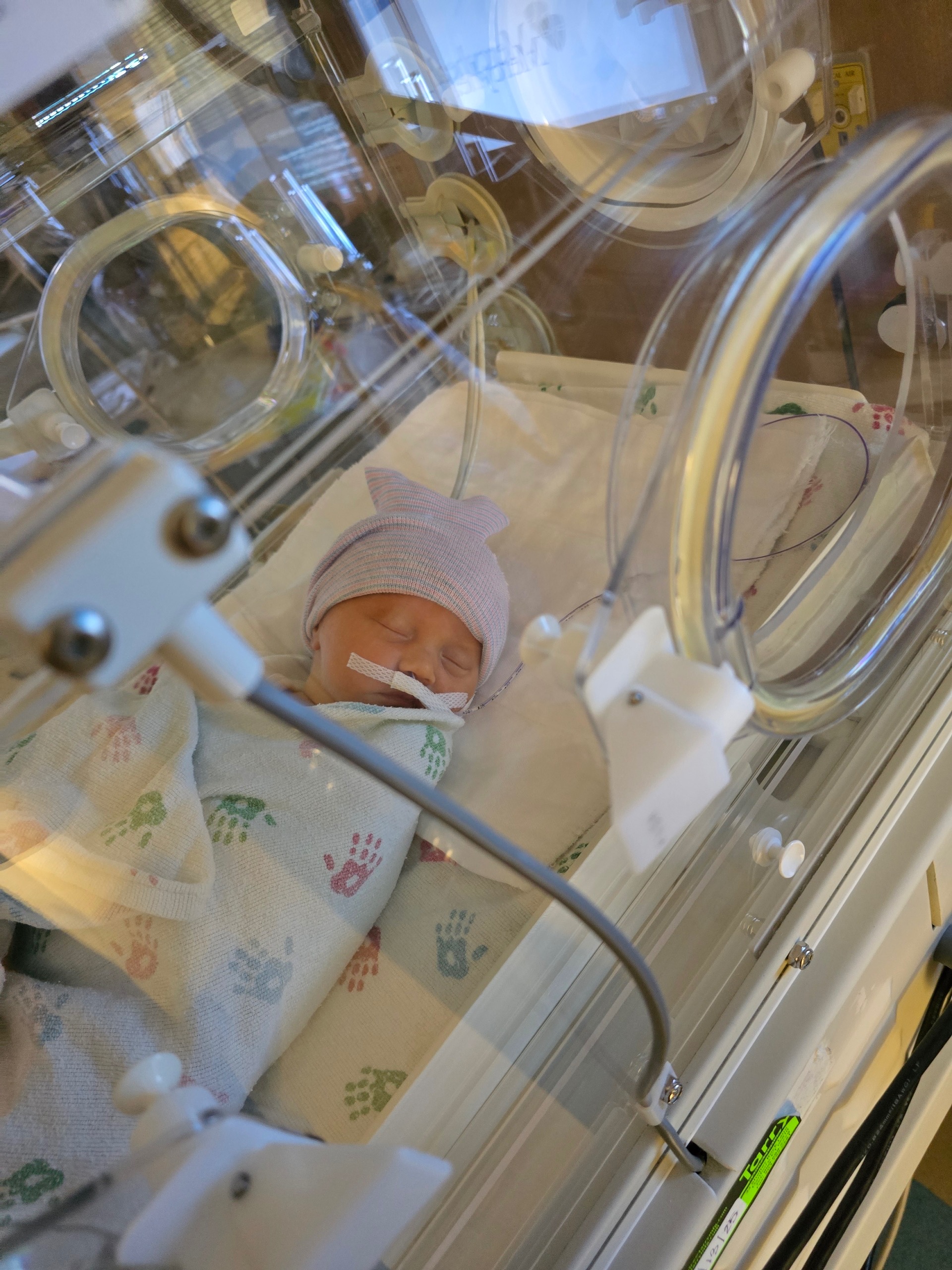 Fundraiser by Stacy Gallagher : Support for Novalee's NICU Stay and Family Needs