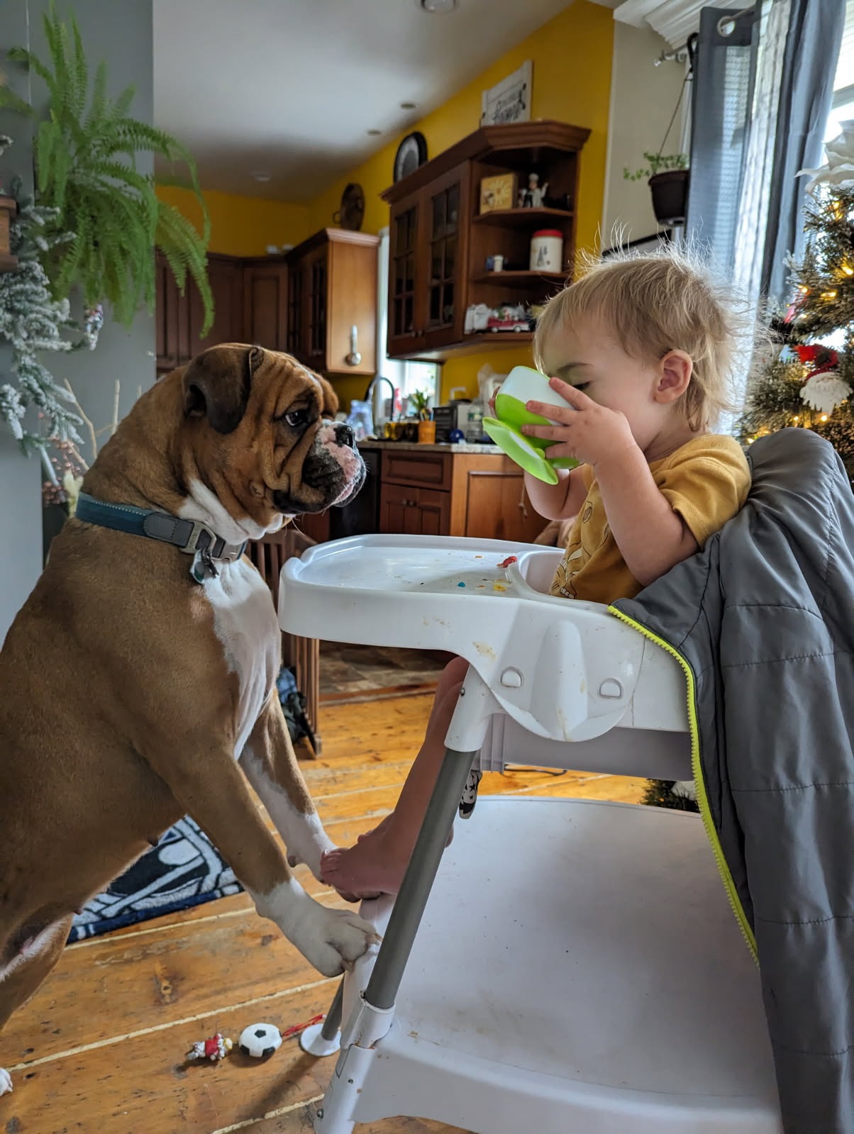 Fundraiser for Rebecca Walden by Amanda Wass : Help Becky & Luna Heal ...