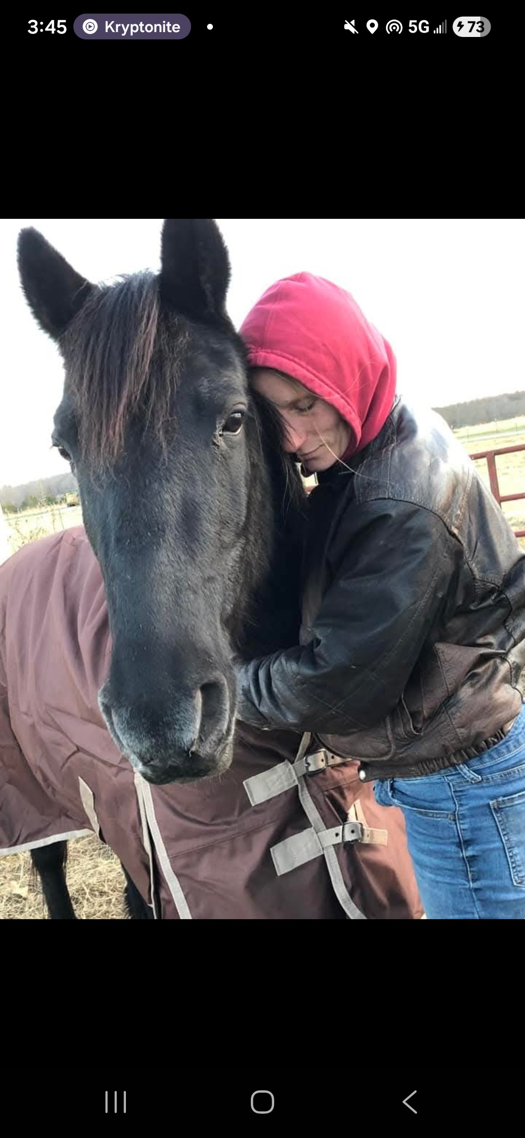 Fundraiser by Nakia Wilson : Help Lay My Beloved Therapy Horse to Rest