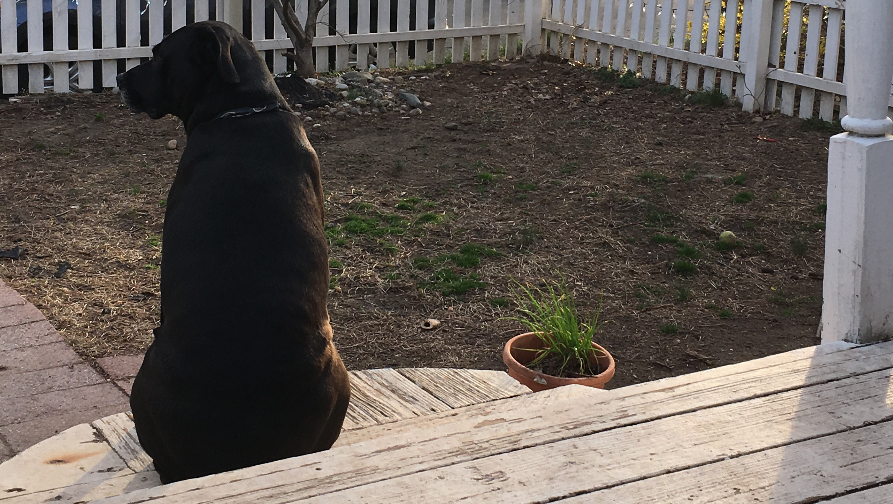 Fundraiser by Deanna Beebe : Support Hailee’s Urgent Surgery to Save Her Life