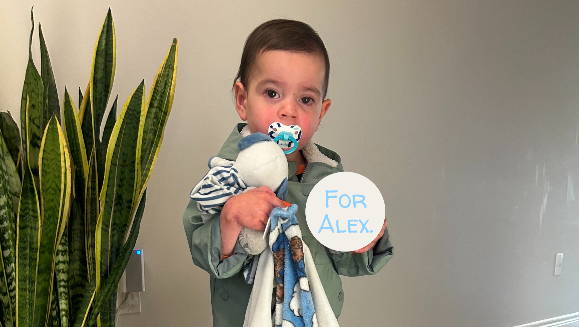 Fundraiser by Aid for Alexander : Support Alex’s Fight With Lifesaving ...
