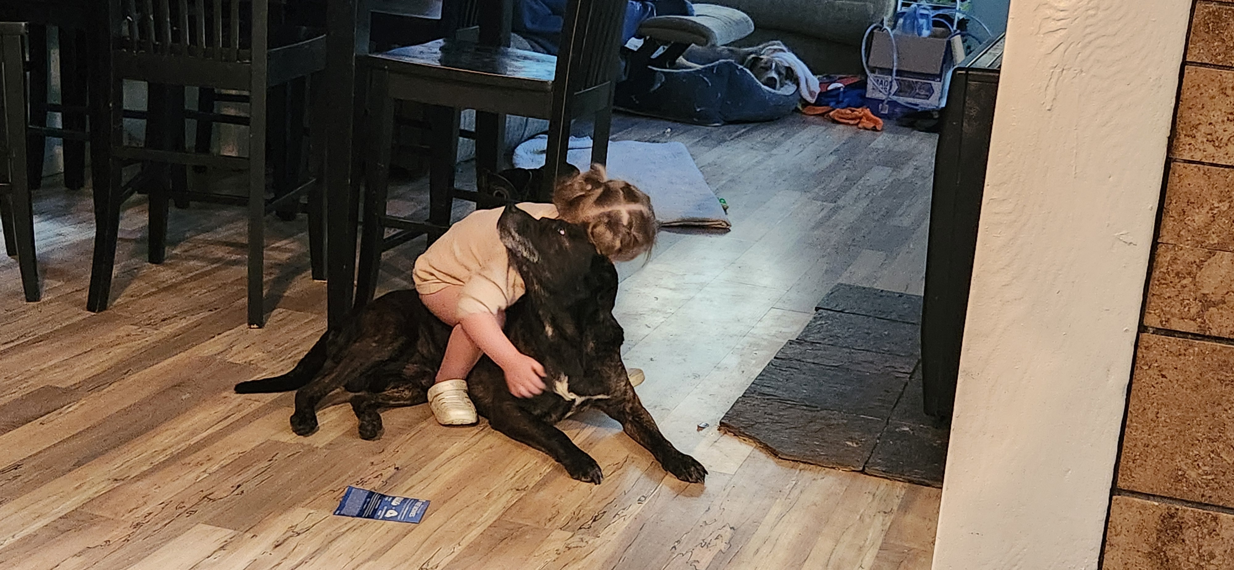 Fundraiser by Rachel Fite : Help Save Savage