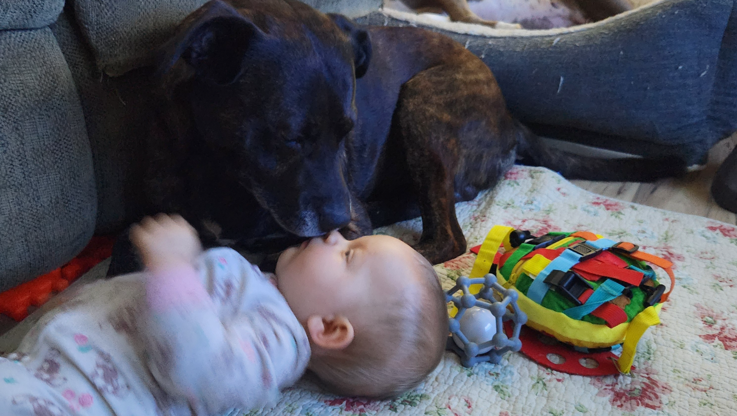 Fundraiser by Rachel Fite : Help Save Savage