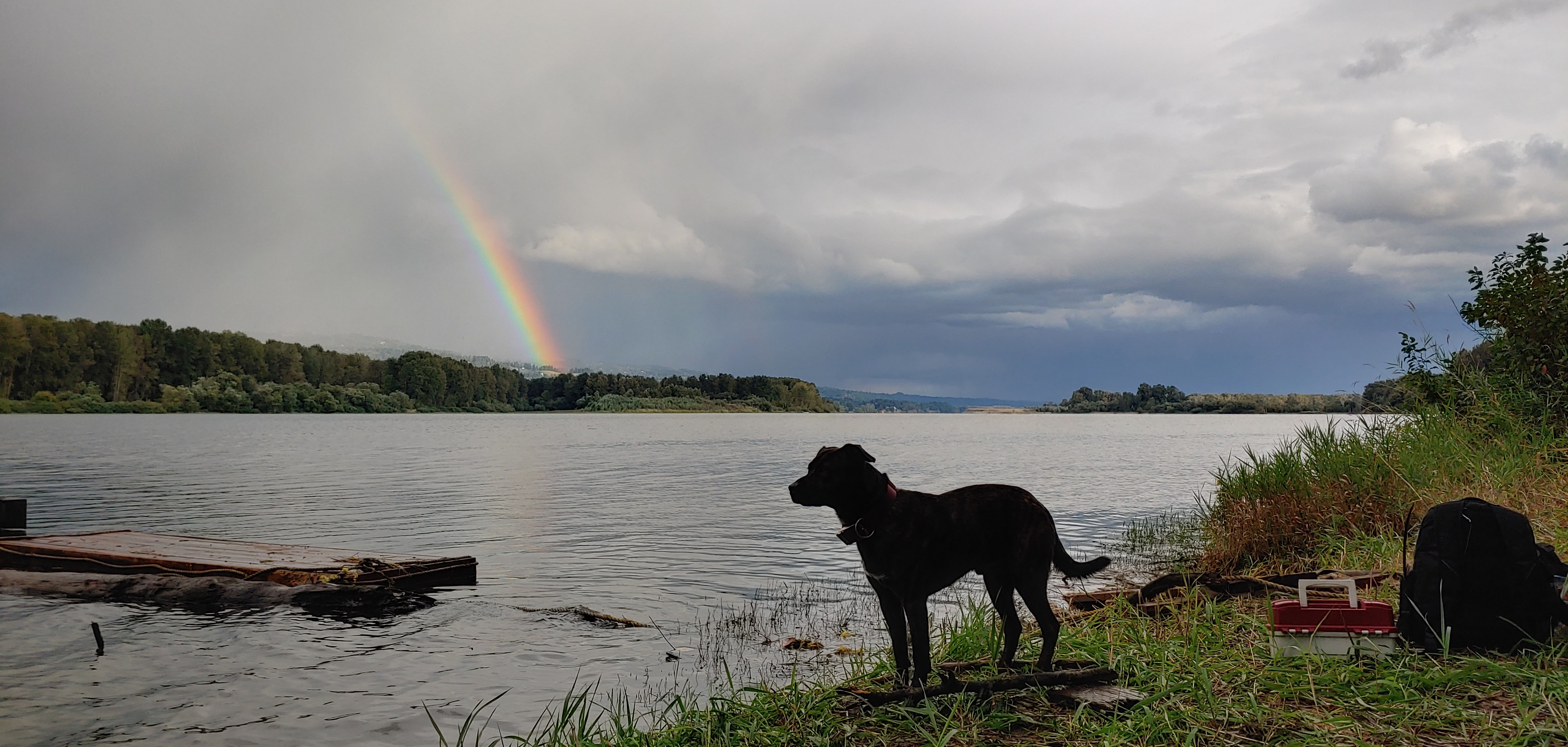 Fundraiser by Rachel Fite : Help Save Savage
