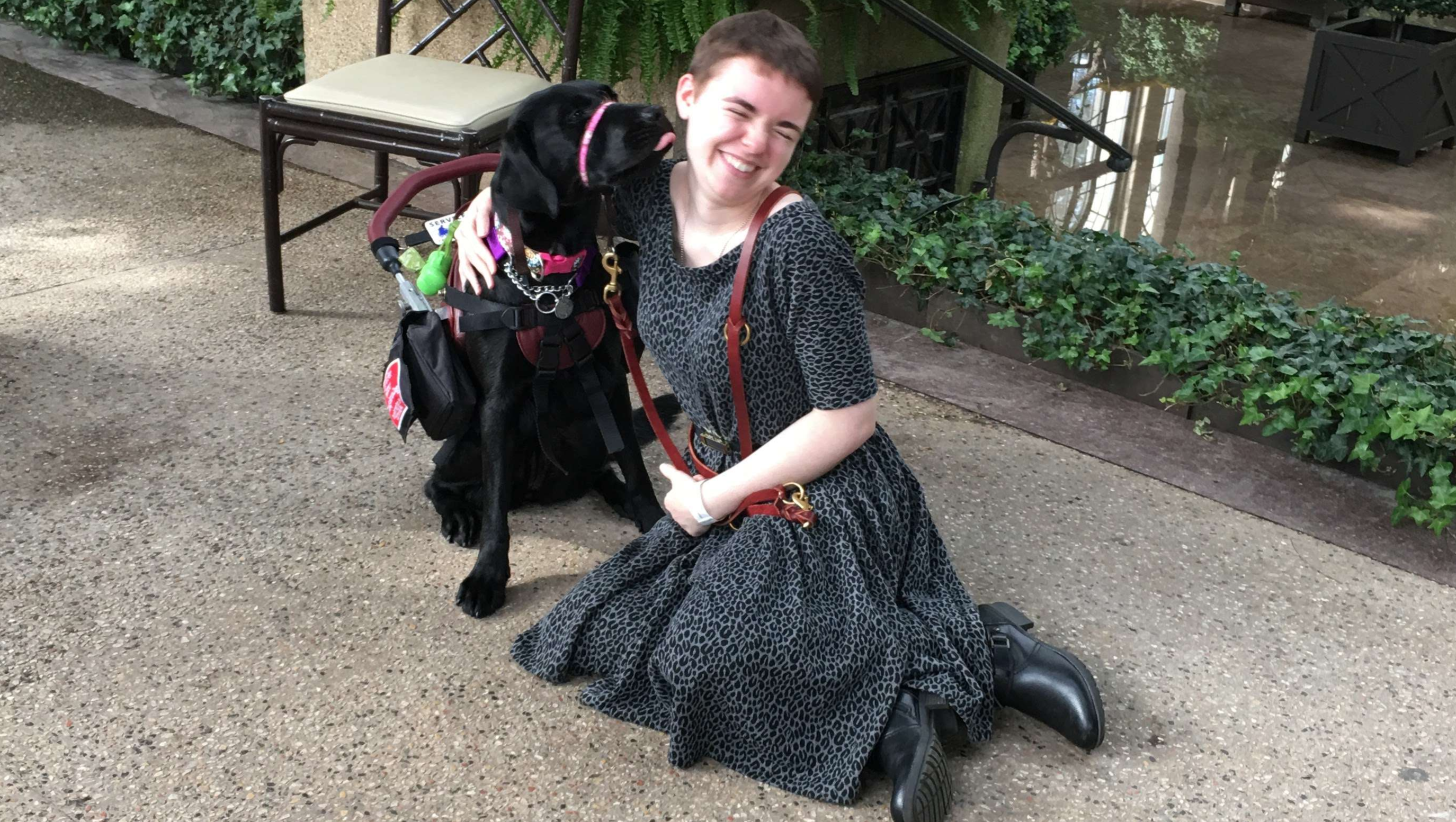 Fundraiser by Charley Maples : Help Hannah train their new service dog ...
