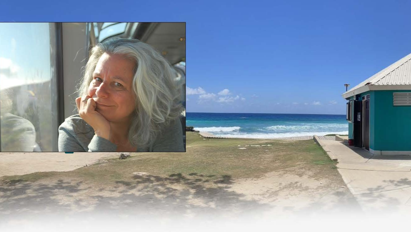Fundraiser by Neal Rechtman : Jane's Playpark - Barbados