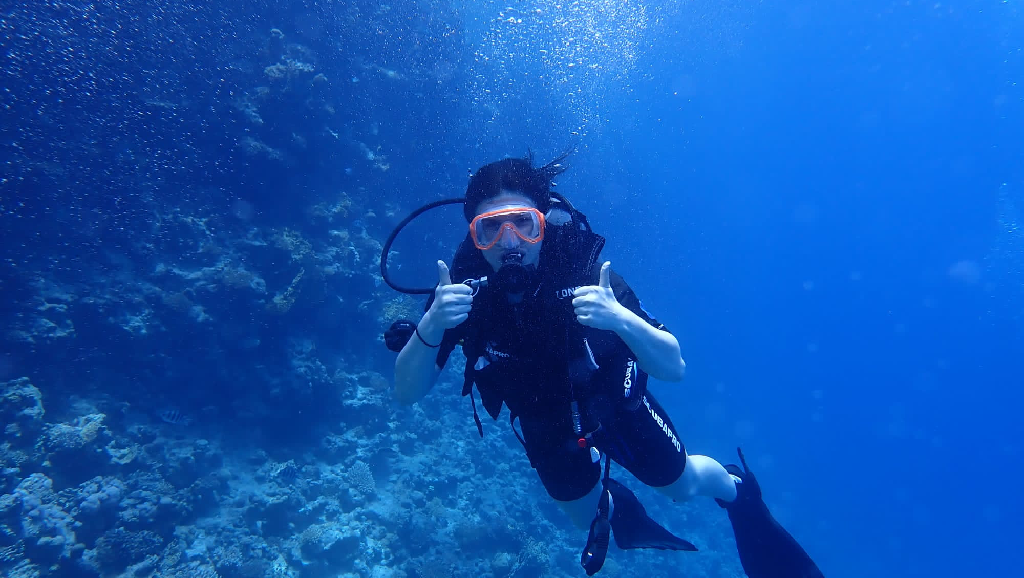 Fundraiser by Molly Tarr : Marine biology work experience and ...