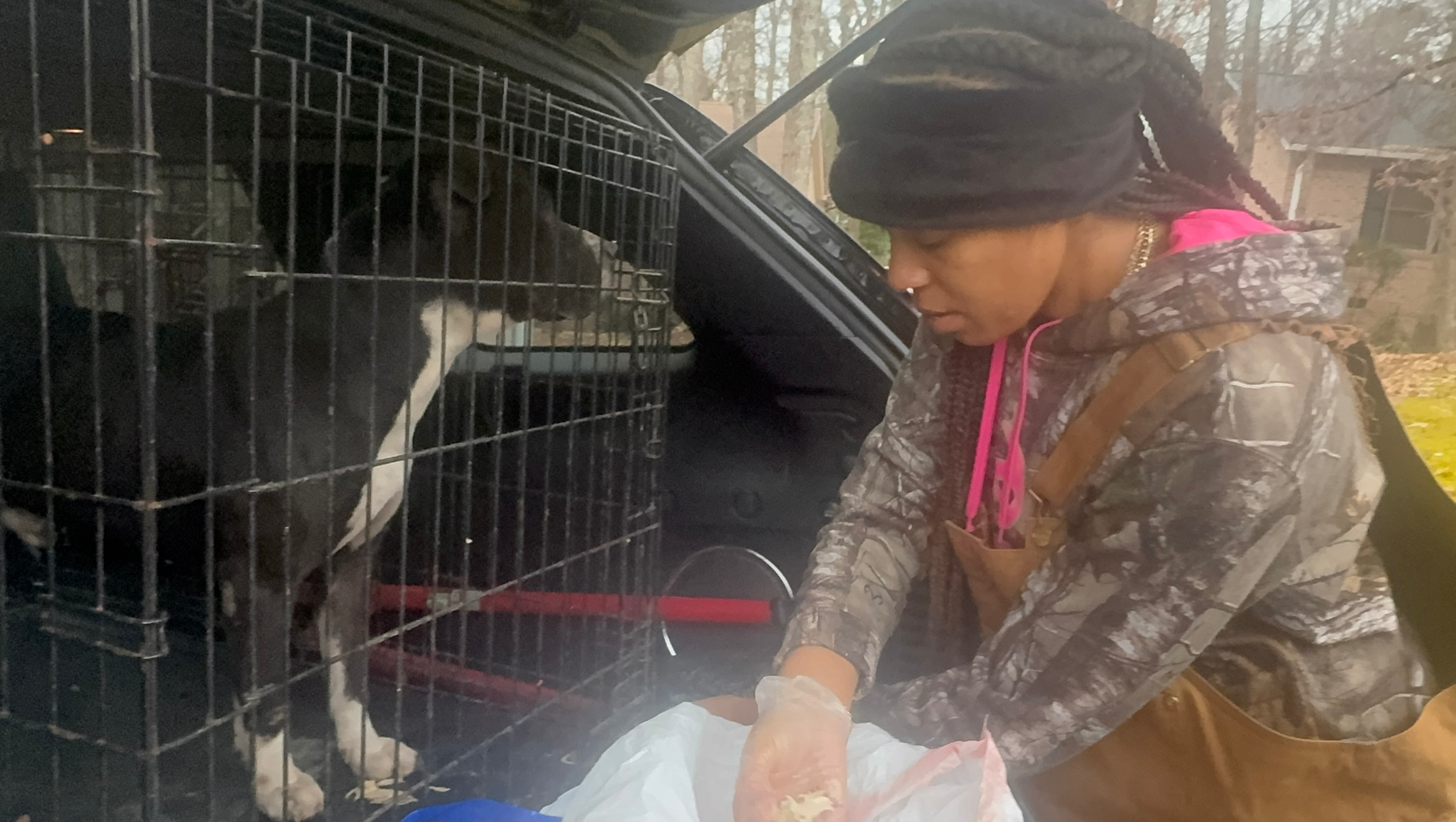 Fundraiser by Paws Hands : Support Chop and PHSC’s Rescue Mission