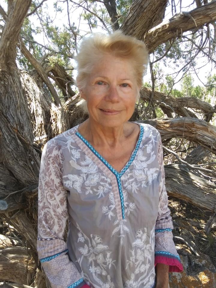 Fundraiser by Andrea Dickens : Help Two Seniors Find Safe Housing