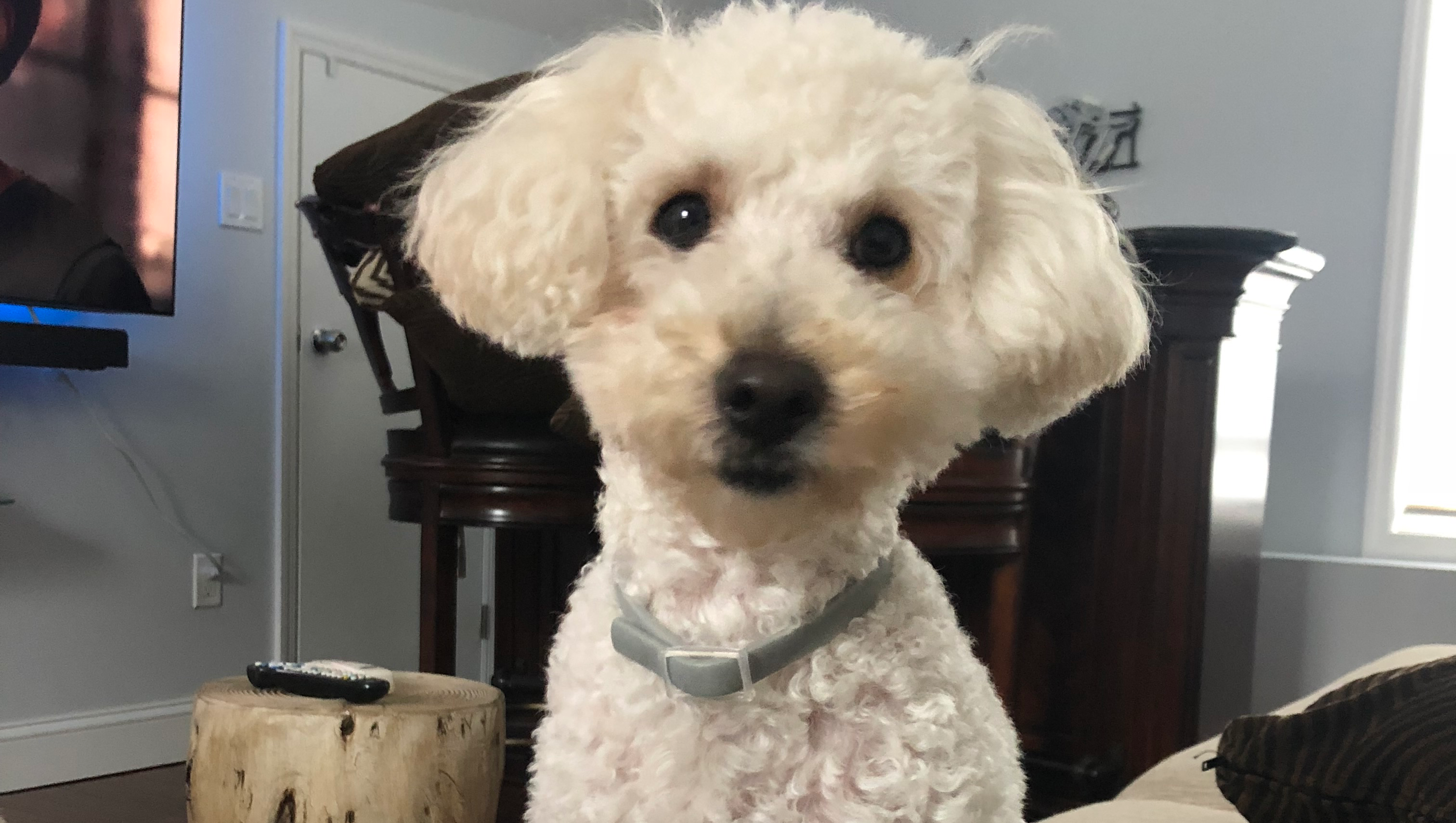 Fundraiser by Dianny Borja : Help Billy Get Lifesaving Surgery