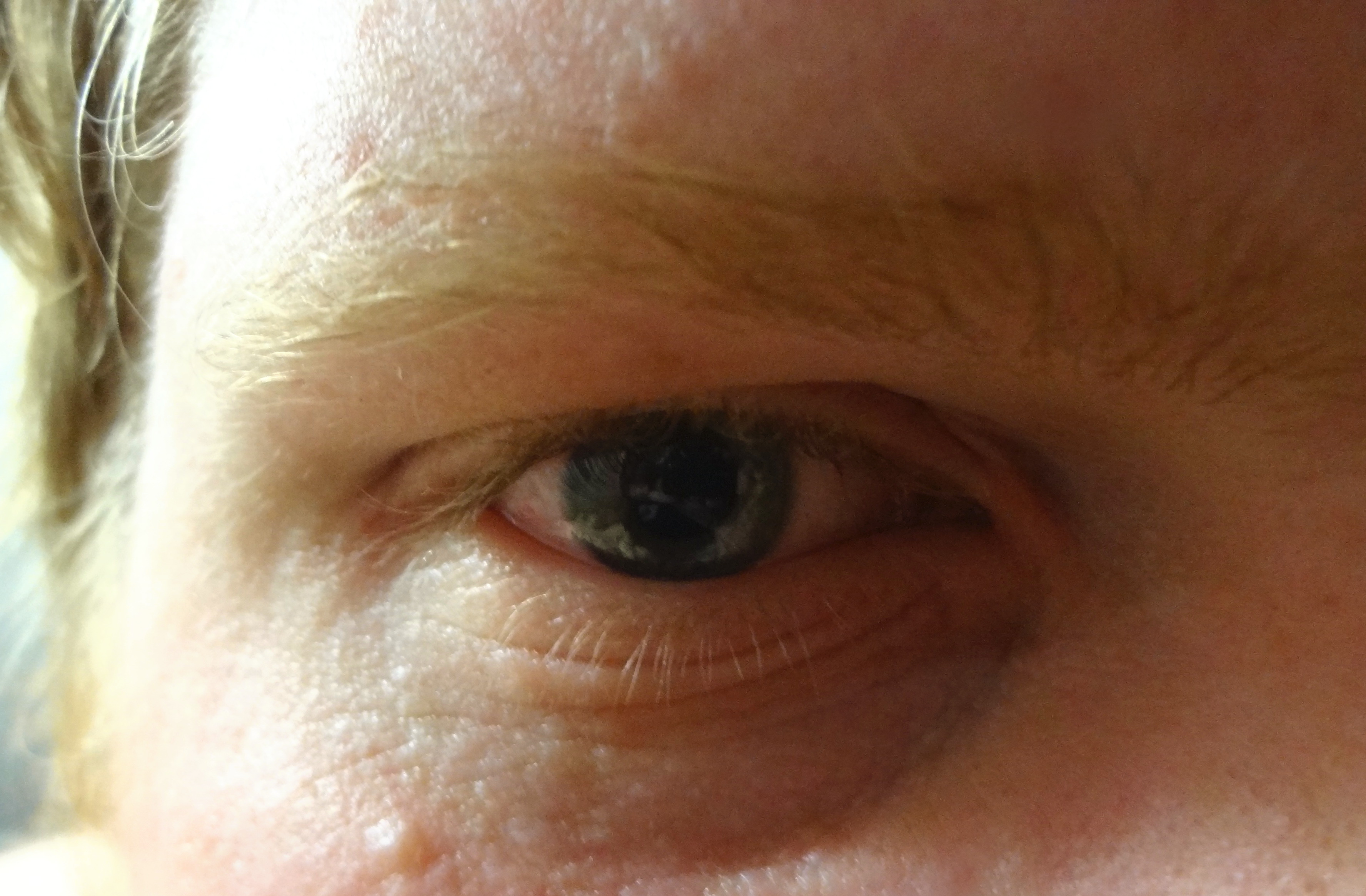 Fundraiser by Linda Rutledge : Ryan Kyle Rutledge (Meets)