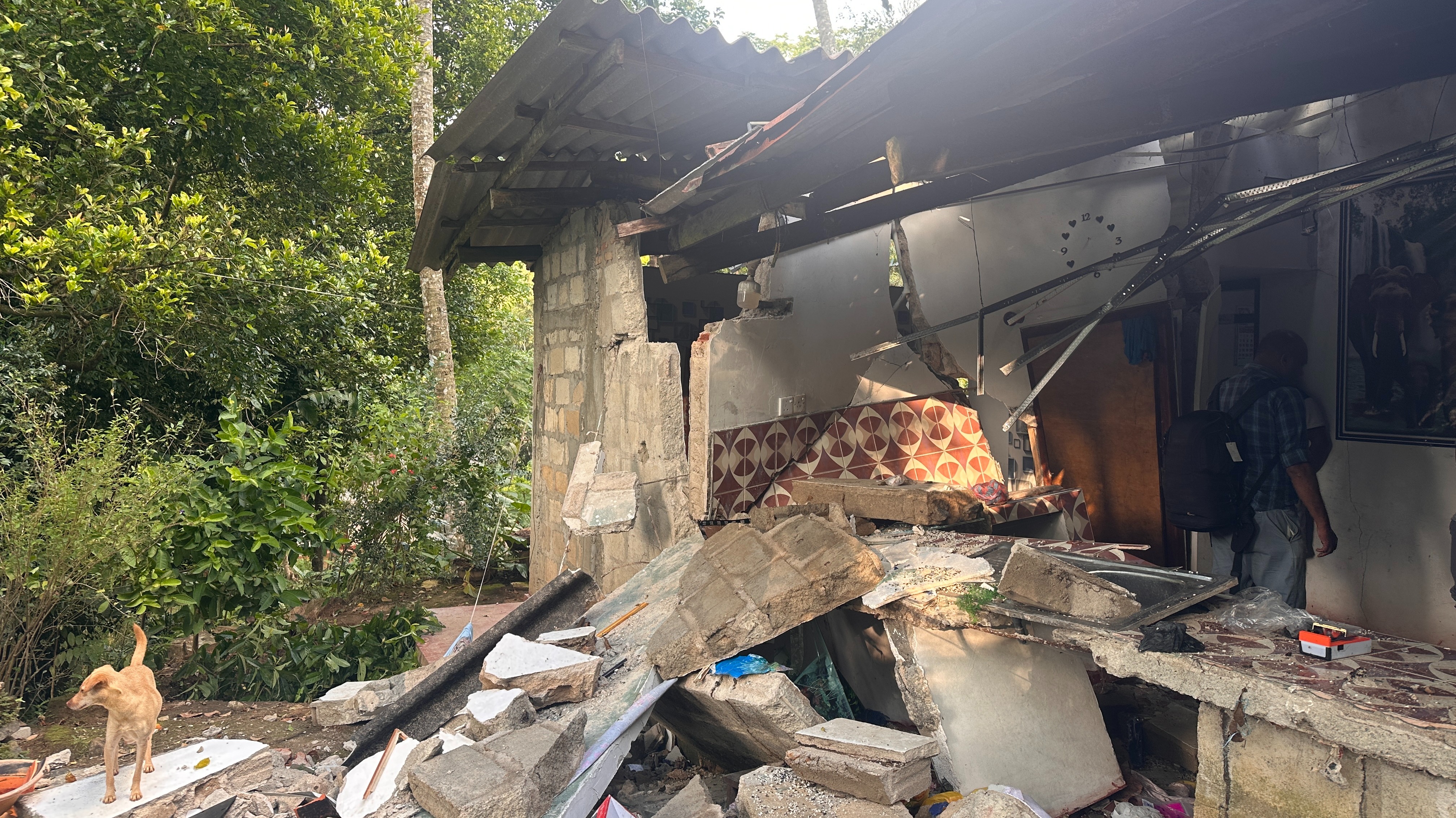 Fundraiser by Senuli Amavindi : Help Sri-Lanka Recover