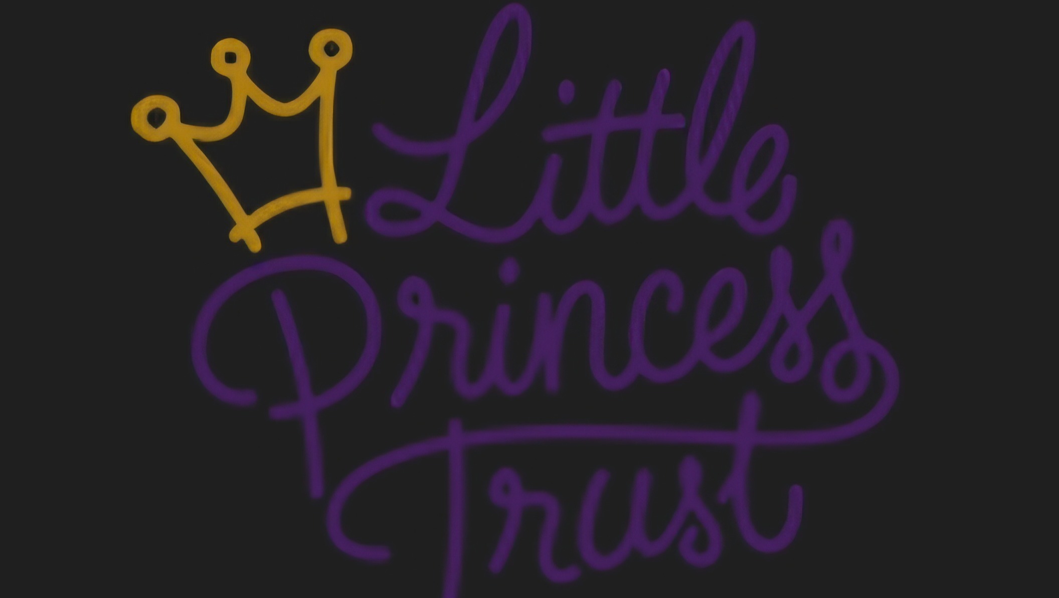 Fundraiser by charlotte Stephens : The Little Princess Trust