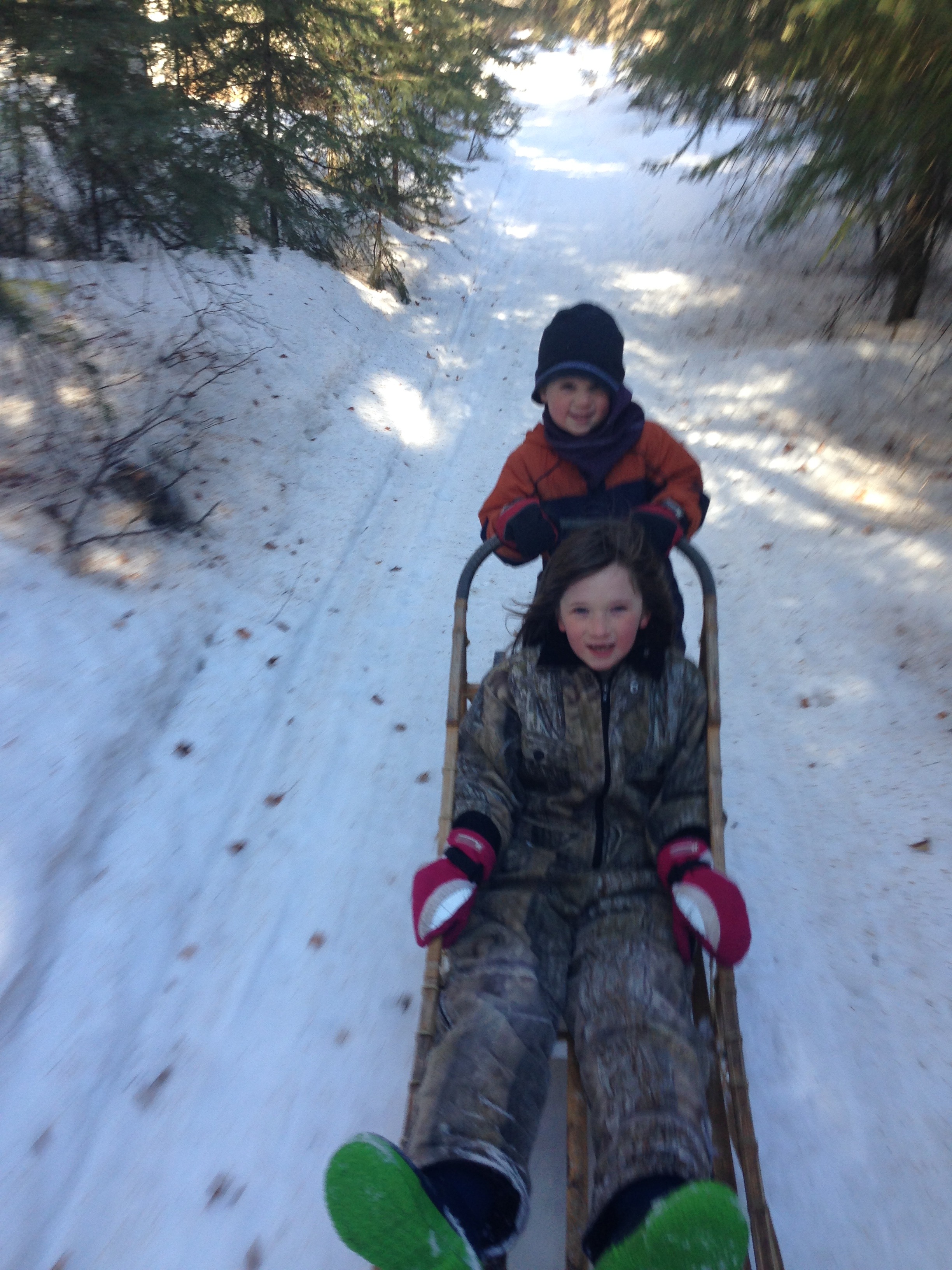 Fundraiser by Alissa Robinson : Support Stanley & Emily’s 2026 Dog ...