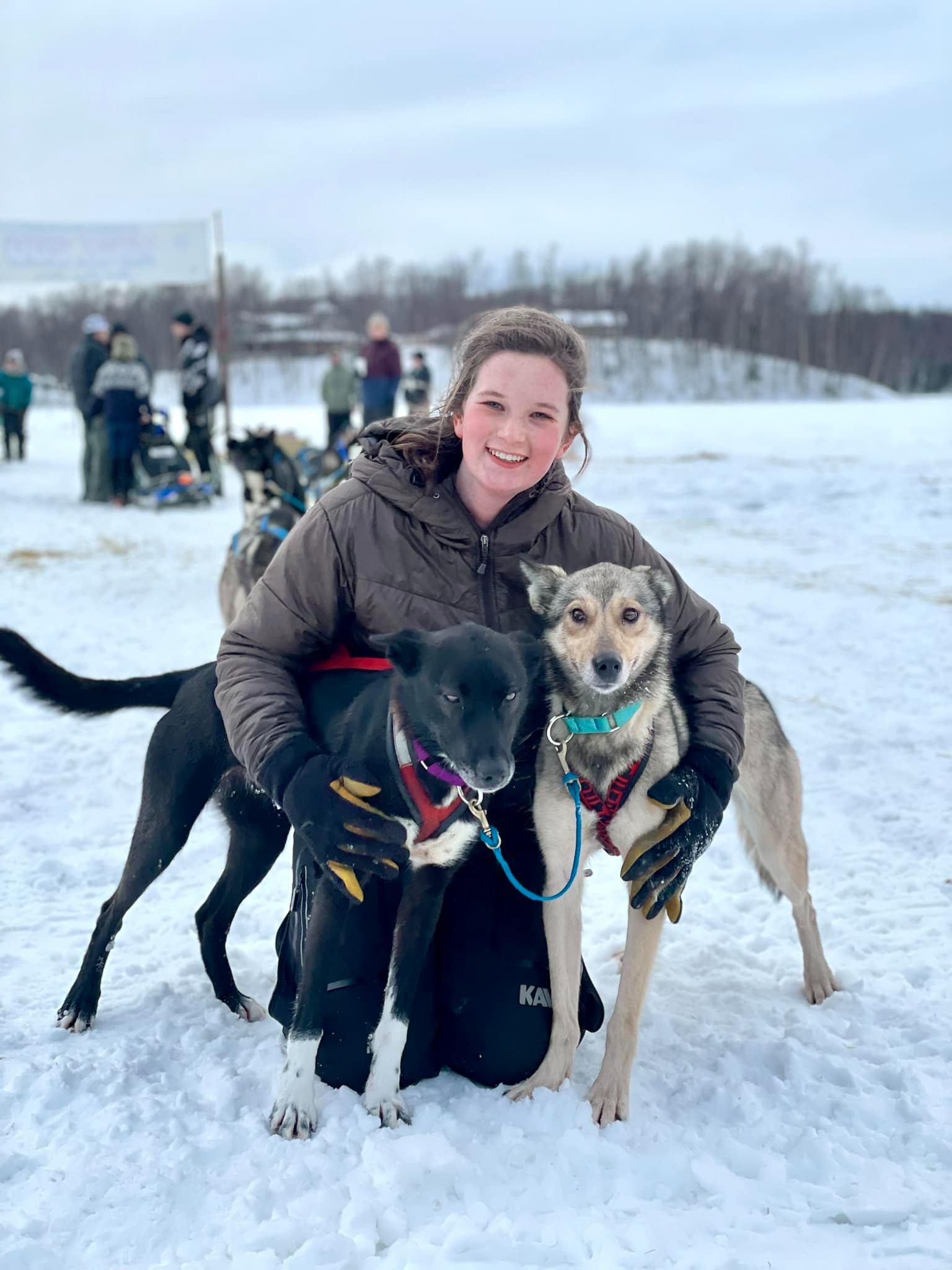 Fundraiser by Alissa Robinson : Support Stanley & Emily’s Mushing Dreams