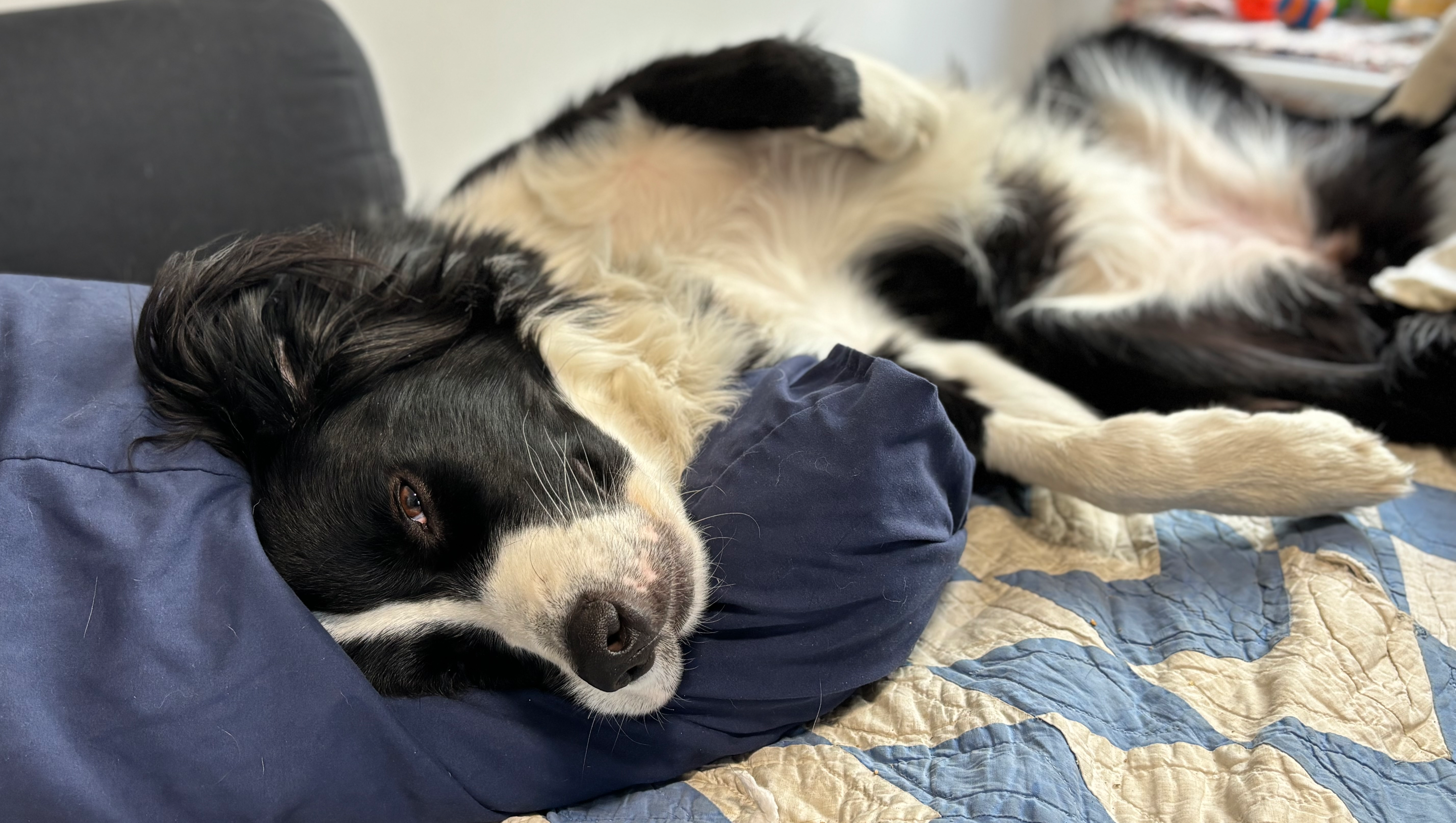 Fundraiser by Lara Goodman : Help Marcy Get Her Second Hip Replacement