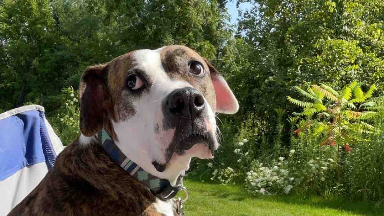 Fundraiser by Madison Wilholt : Support for Molly's Medical & End-of ...