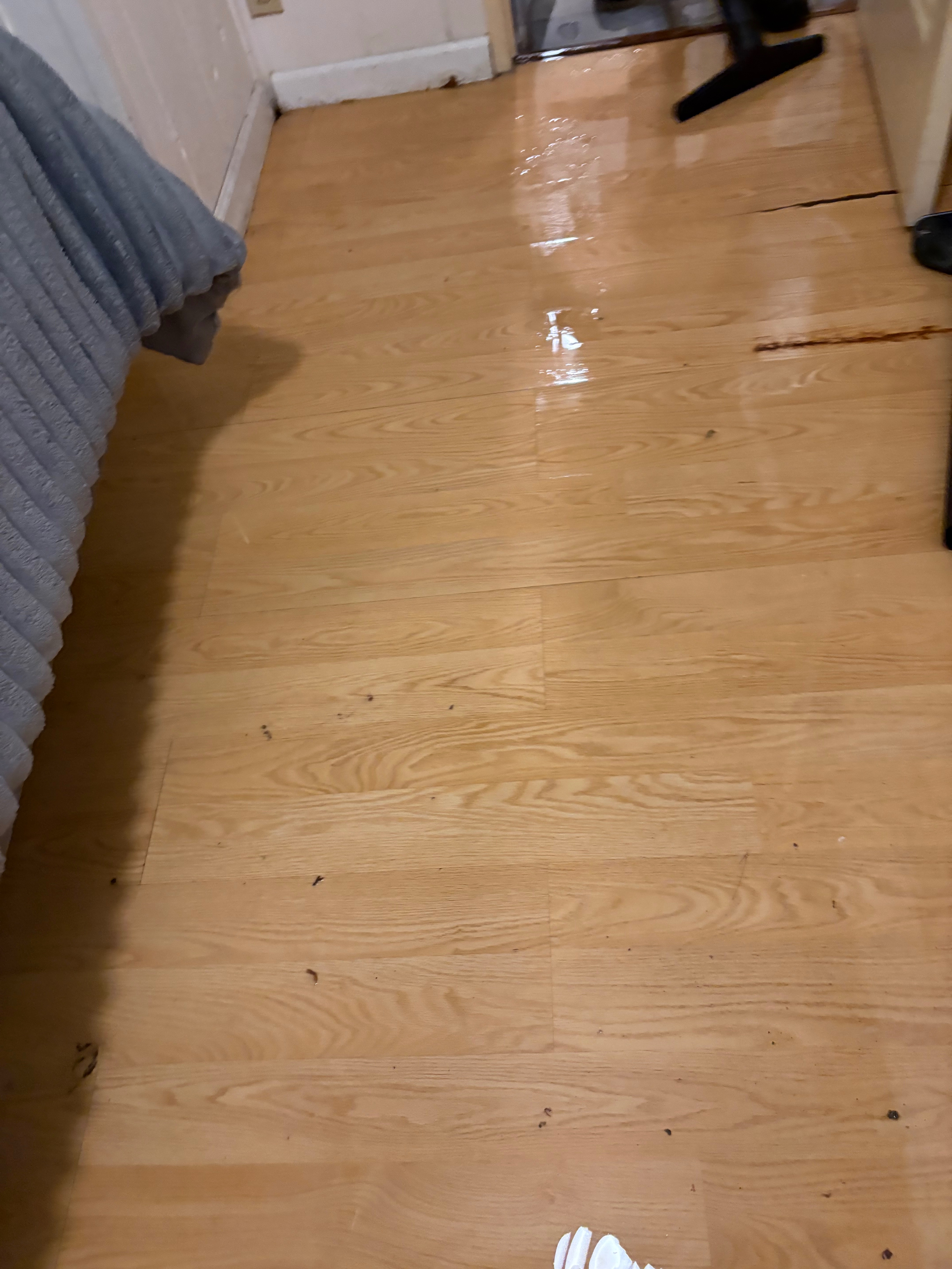 Fundraiser by Jeanette Kremer : Help Pat Restore Her Home After Flooding