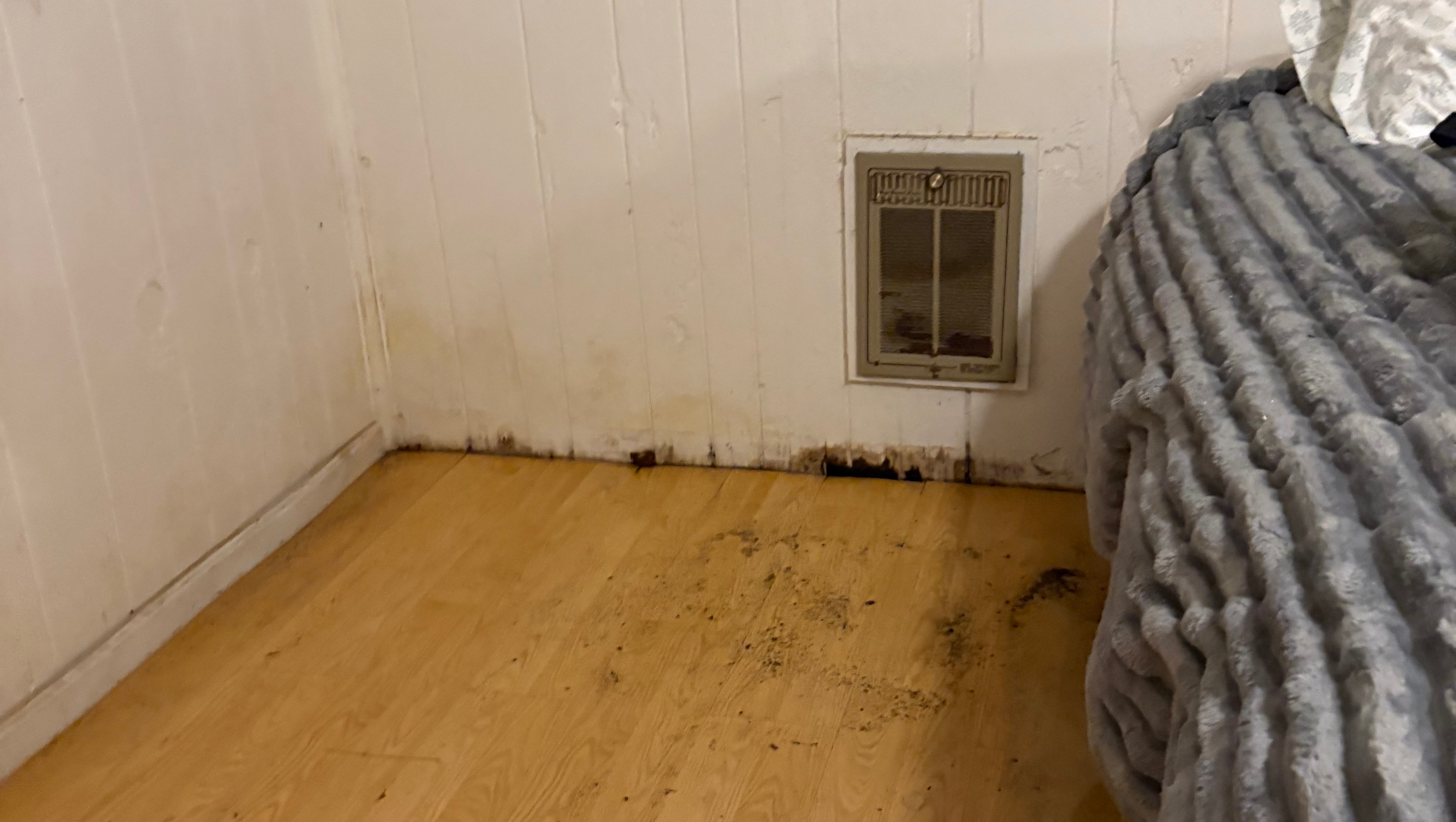 Fundraiser by Jeanette Kremer : Help Pat Restore Her Home After Flooding