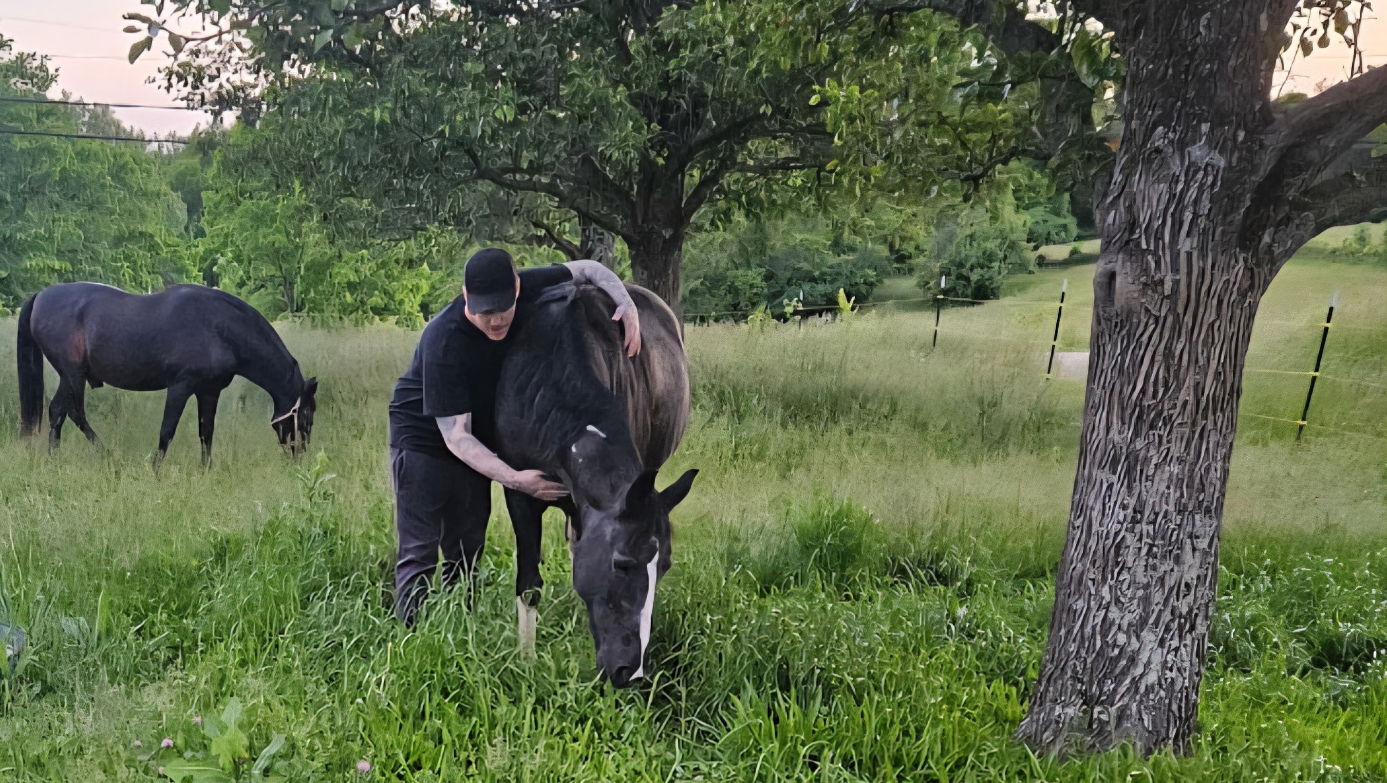 Fundraiser by Jennifer Rimar : Save Lizzo: Life saving Surgery Needed ...
