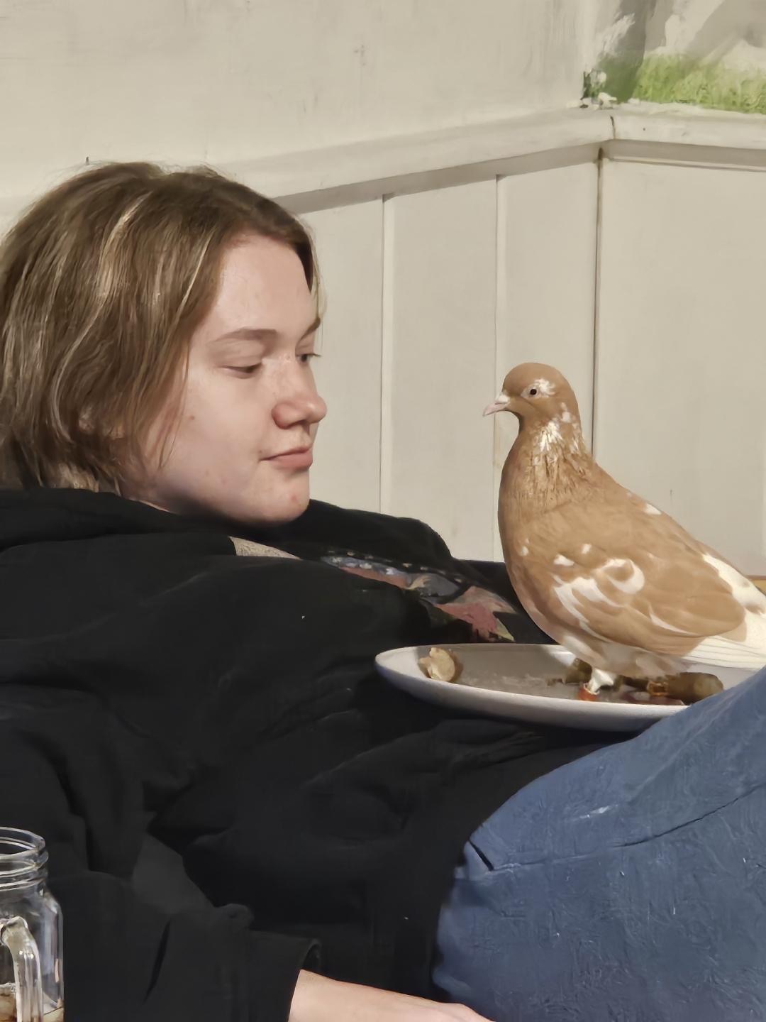 Fundraiser for Susan Quirk by Carrie Graham-Ellis : Help Tom the Pigeon ...