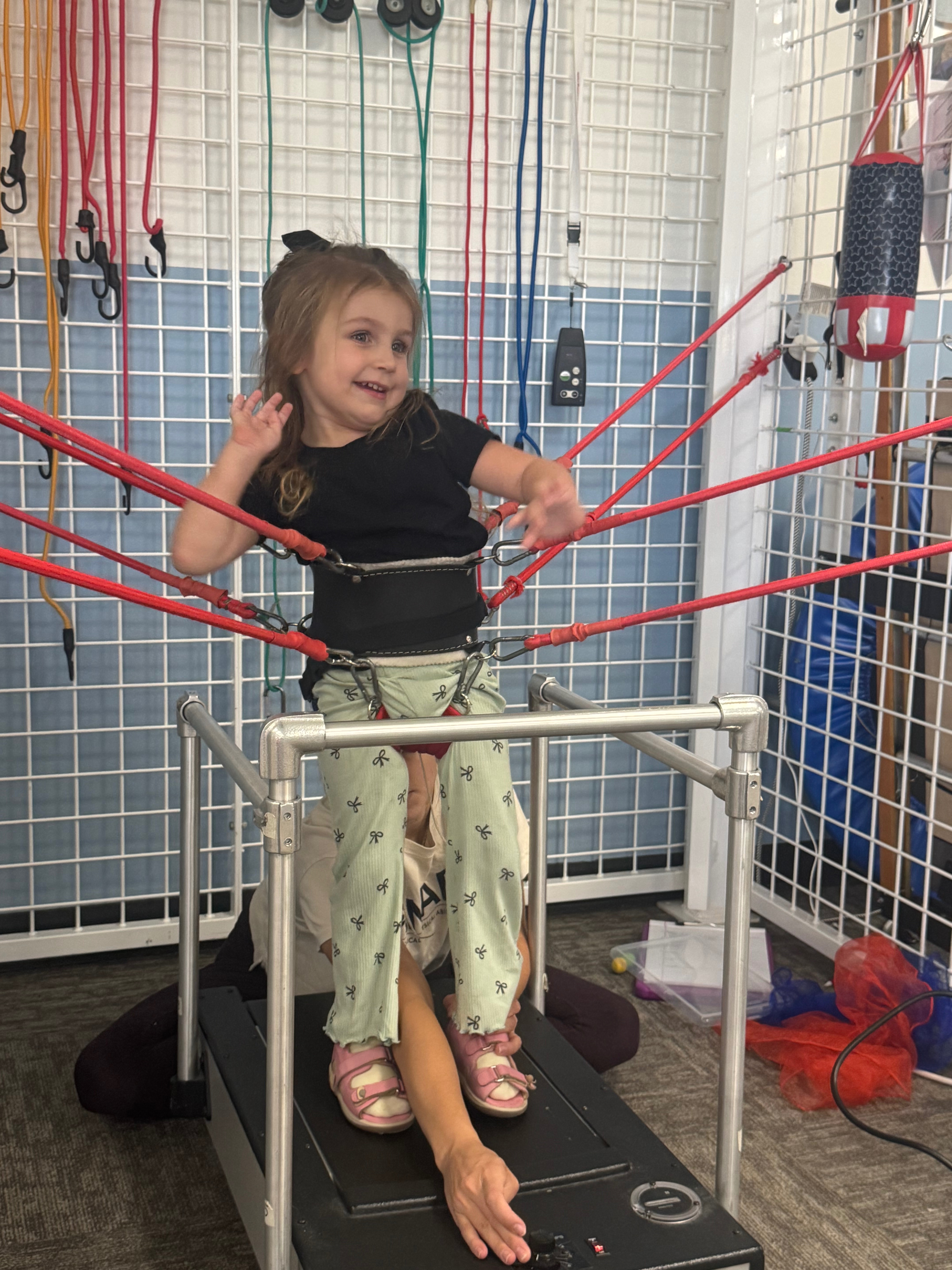 Fundraiser by justina thomas : Keep Izzy Moving Forward: let’s get Izzy ...