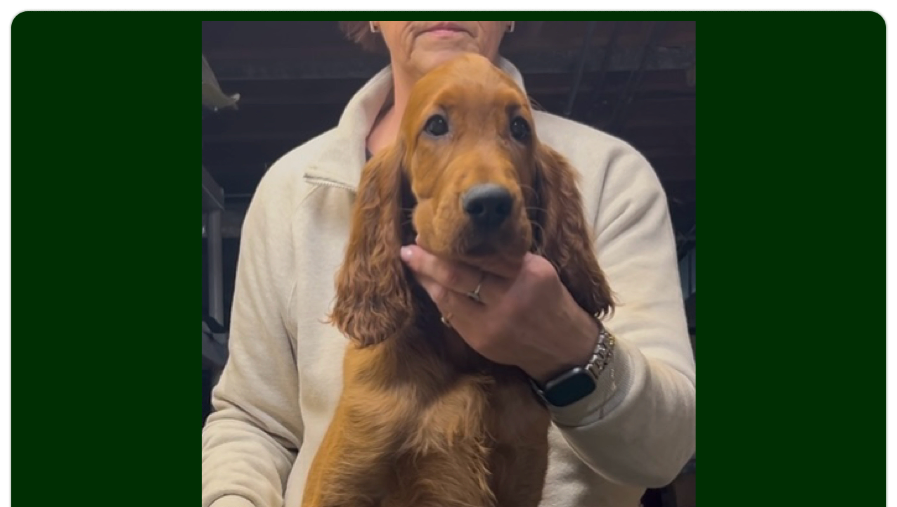 Fundraiser by Krista Musil : Help Green Boy Recover from Life-Saving ...