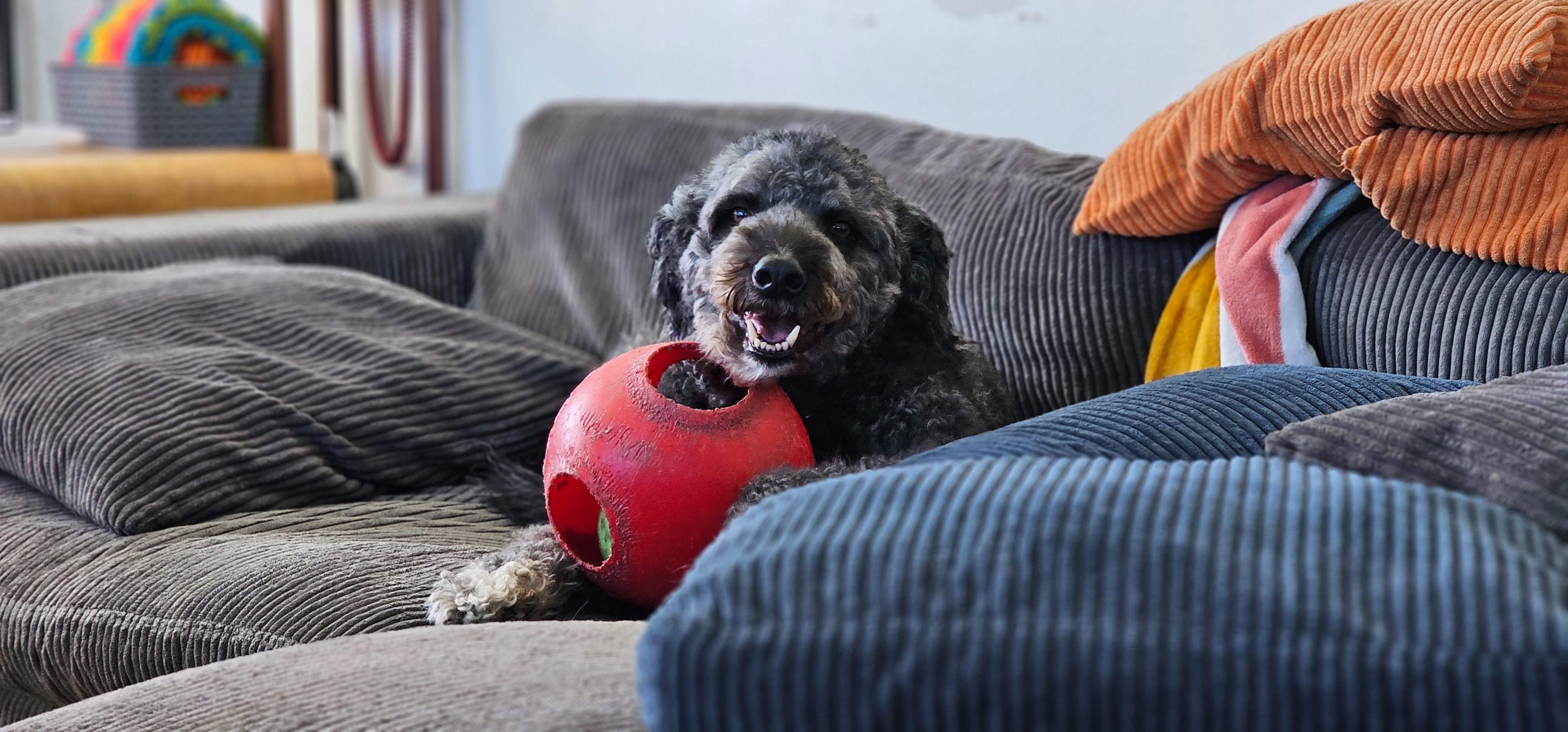 Fundraiser by Mandy Pingston : Support Caspian’s MRI and Treatment Journey