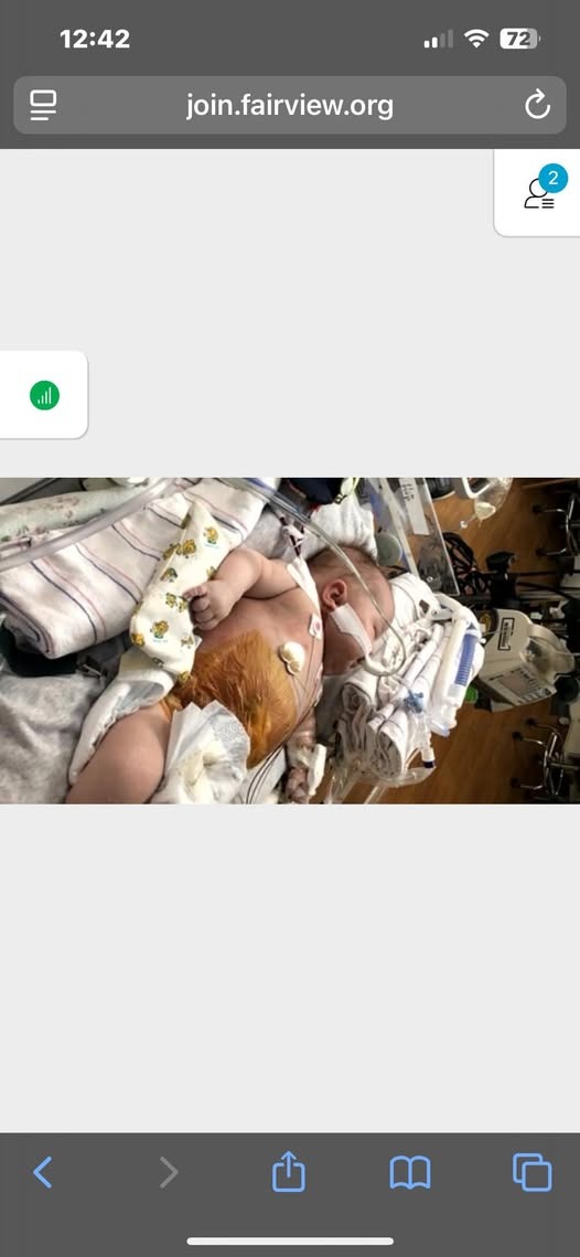 Fundraiser for Savahna Rae Schmidt by Stormy Irish : Be Part of Laney’s ...