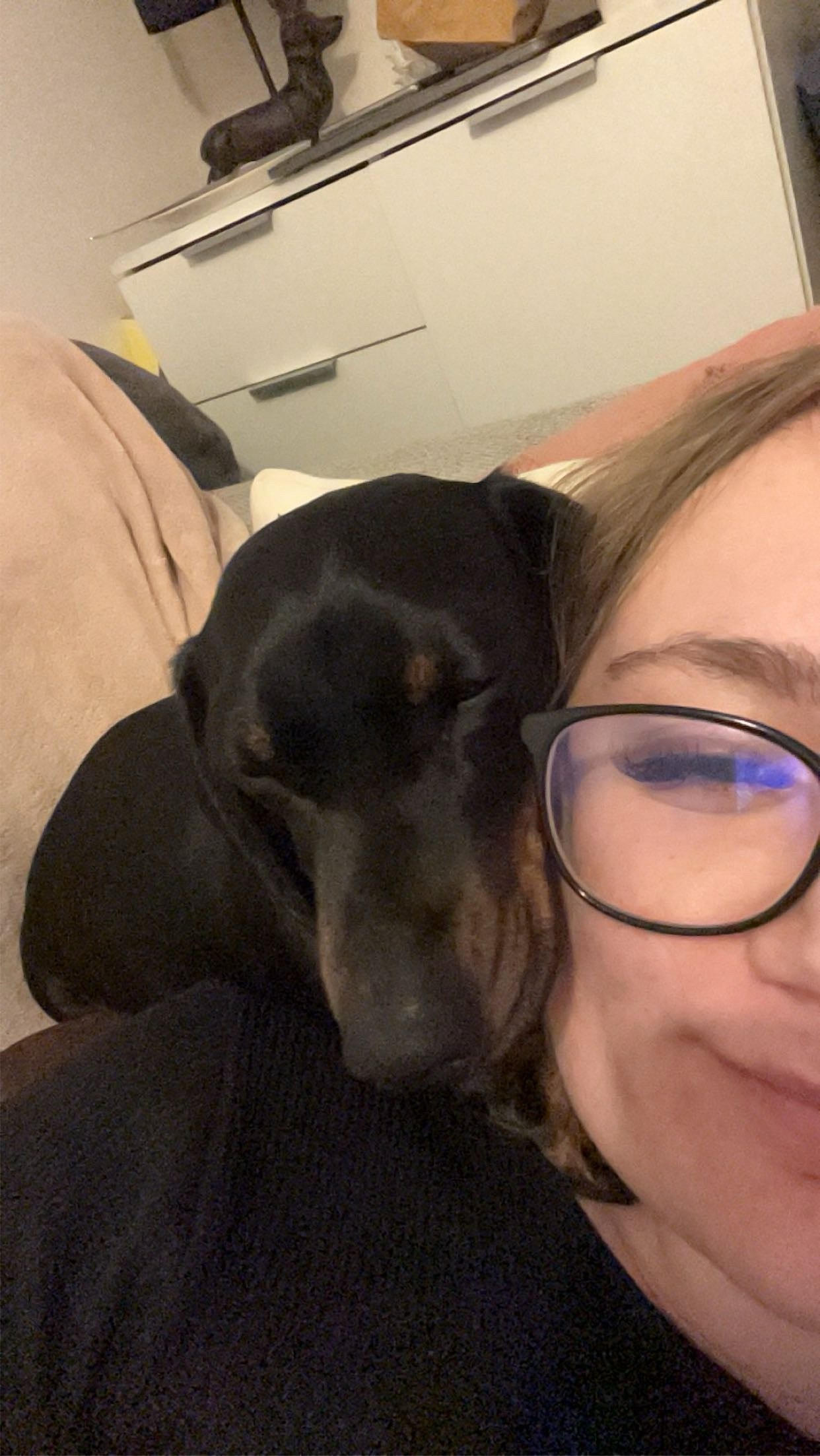 Fundraiser by Caitlan Woolcombe : Help Save Our Little Sausage Dog’s Life