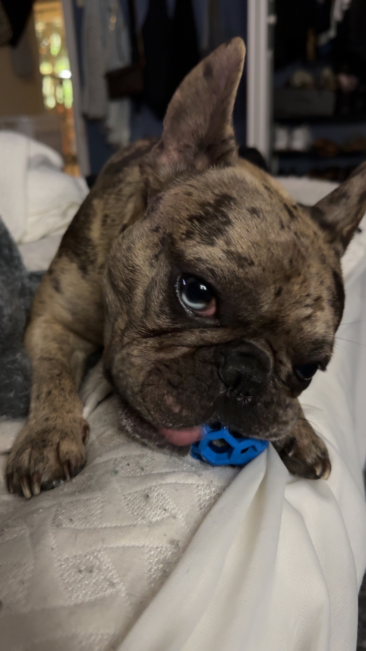 Fundraiser by Devin Walters : Support Oliver’s Journey to Recovery