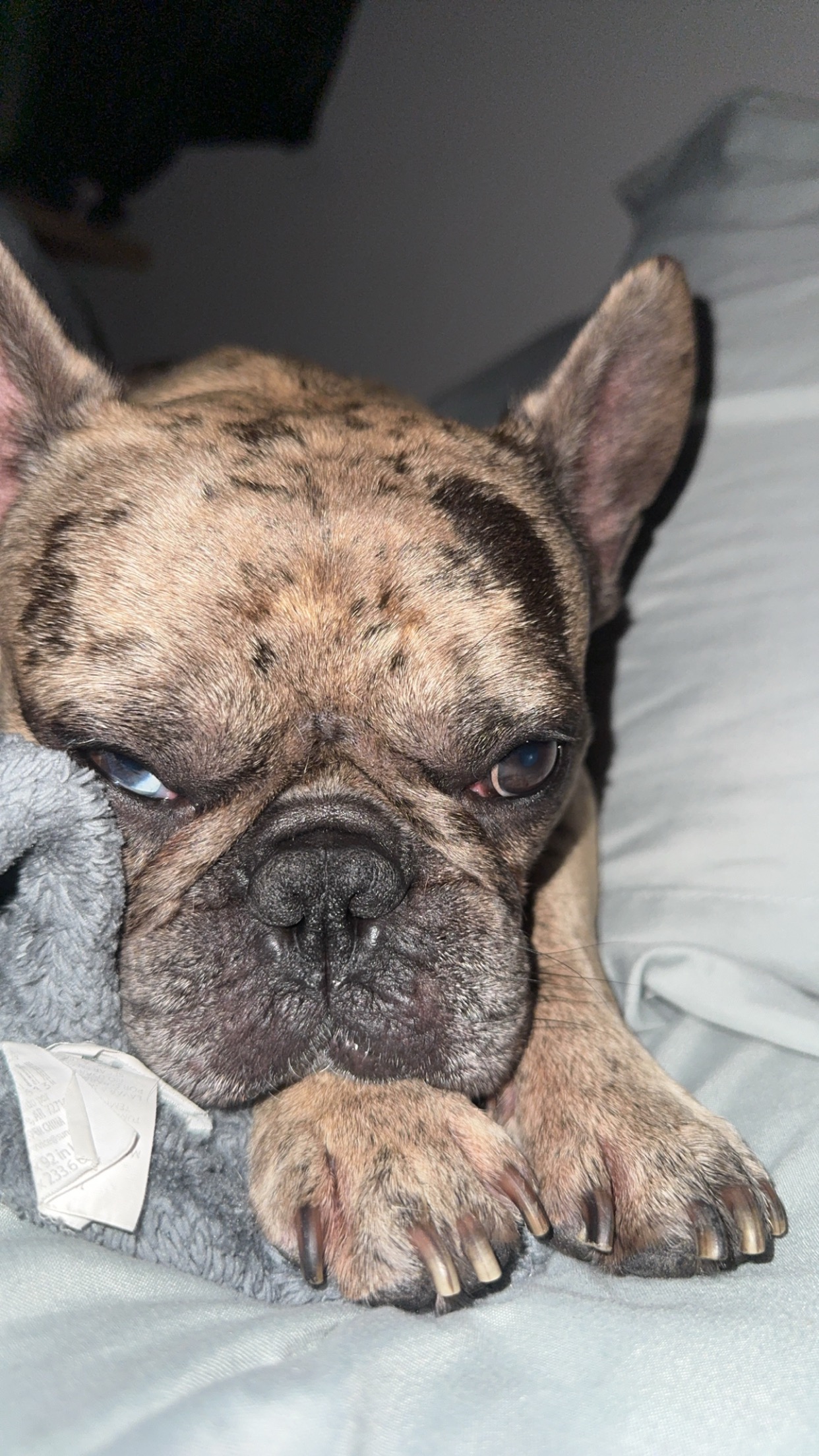 Fundraiser by Devin Walters : Support Oliver’s Journey to Recovery