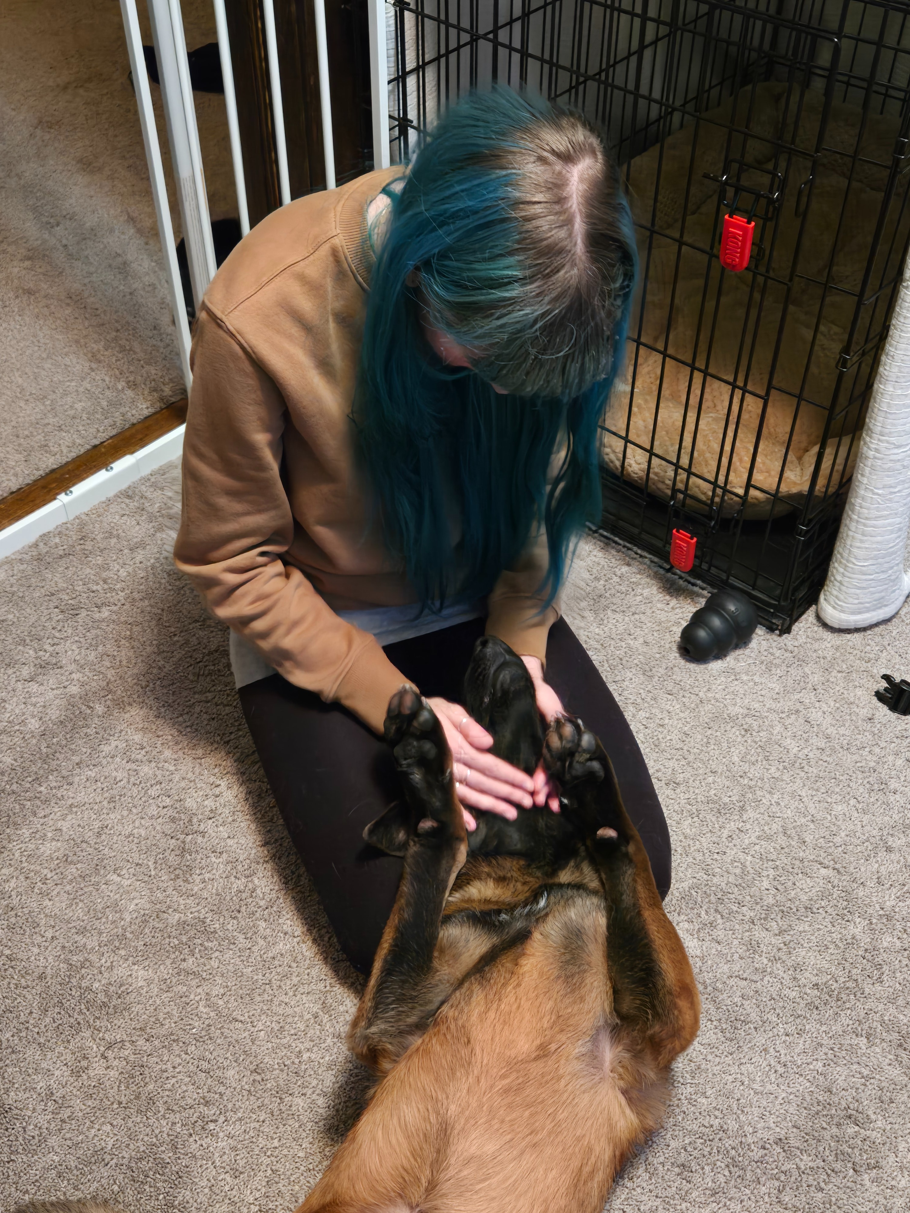 Fundraiser by Kori Schweisthal : Training Mischa to Be Ashley’s Lifeline