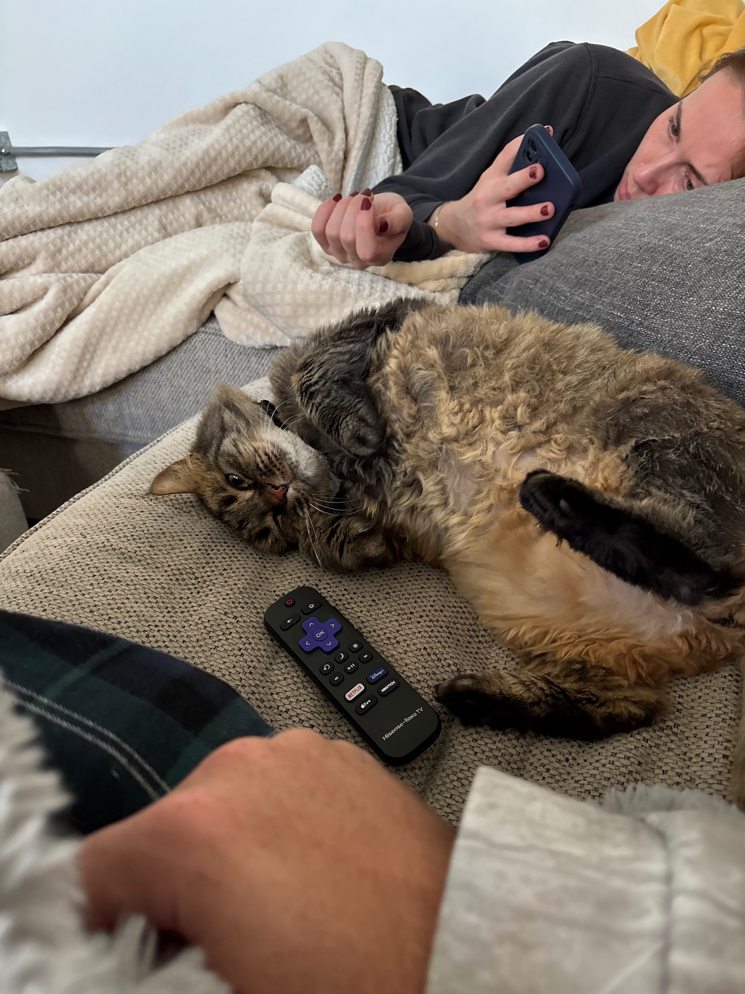 Fundraiser for Sydney Hollenbeck by brandon shaw : Help Save Simba ...