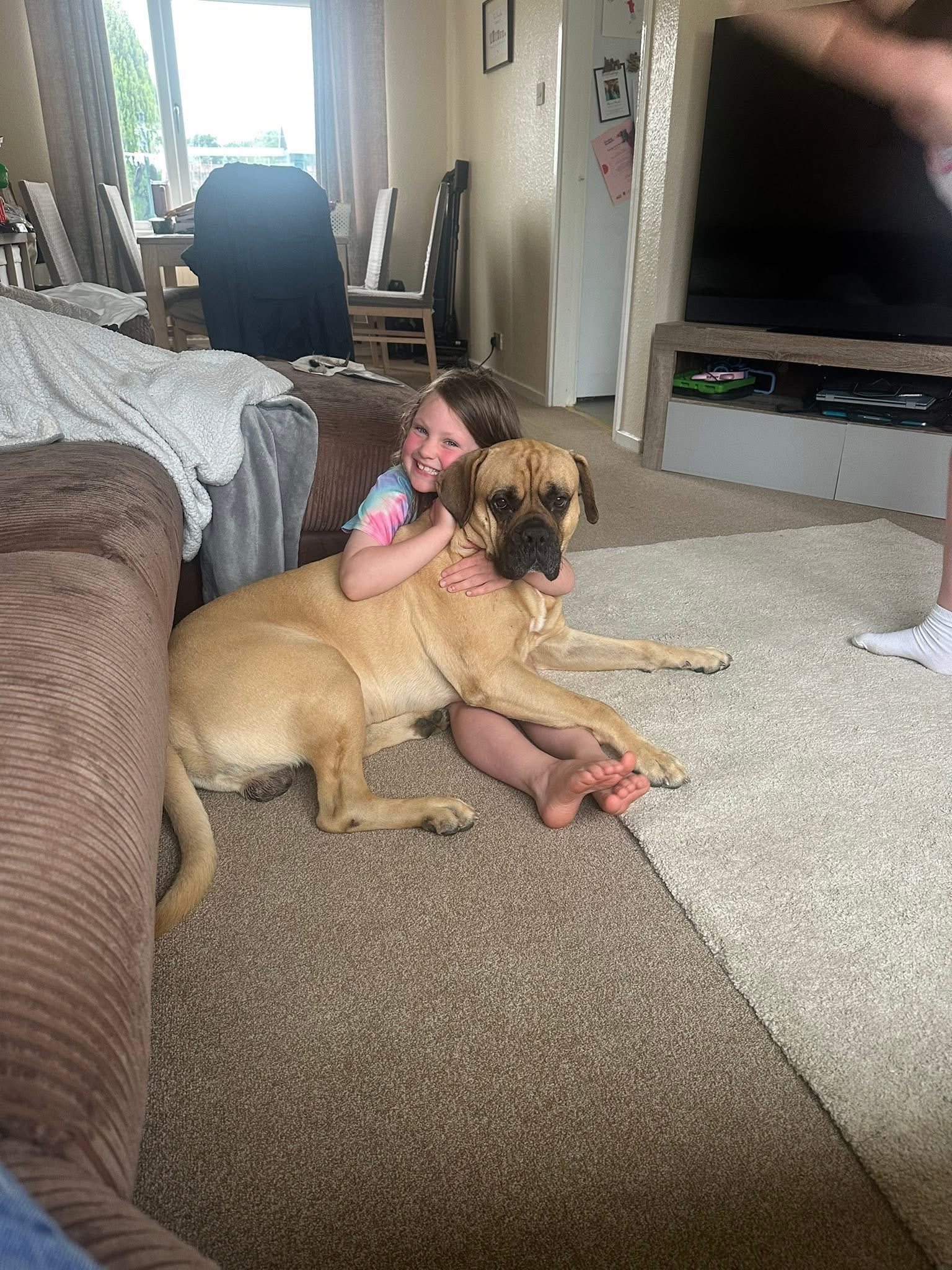 Fundraiser by Rebecca Pardoe : Dave’s cancer treatment