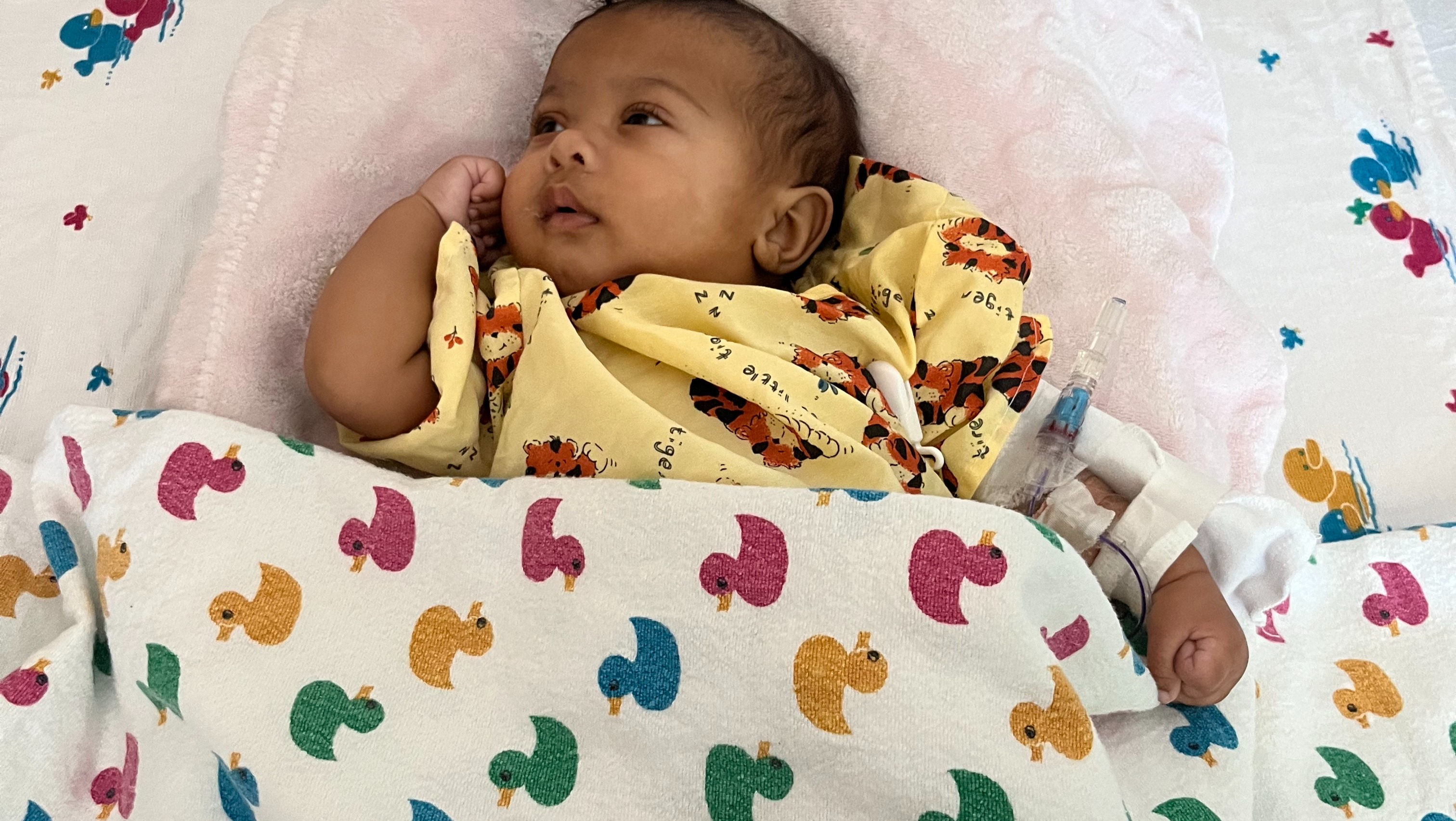 Fundraiser for Watson Dard by Grace Caldwell : Support Leyla and the ...