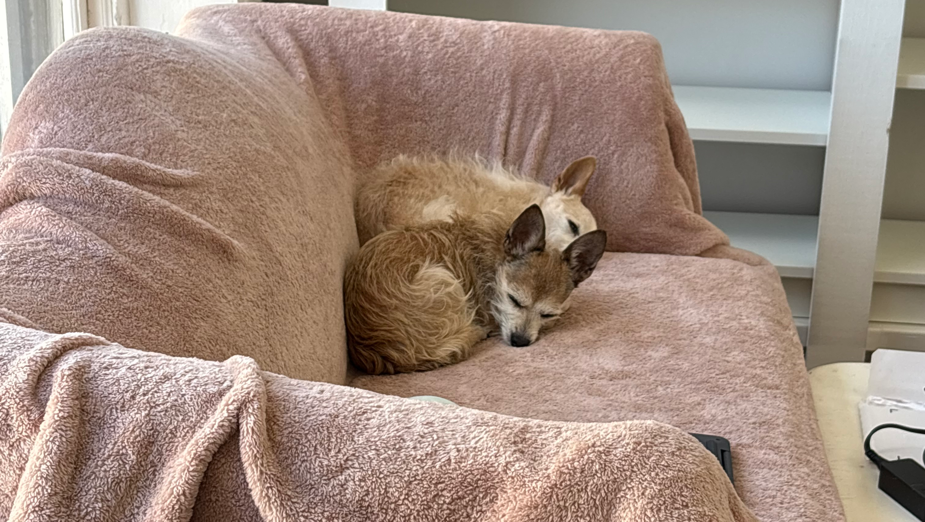 Fundraiser by Leah Scott : Facing Eviction: Help Me Rebuild My Life