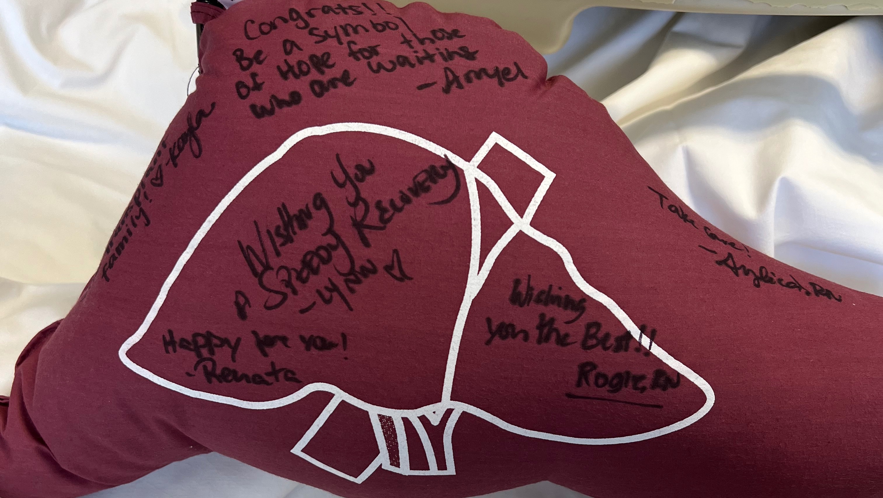 Fundraiser by Lisa Harp : Support Lisa Harp’s Liver Transplant Recovery