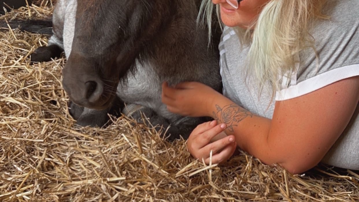Fundraiser by Maddison Redsell : Save my pony Oreo from being pts.
