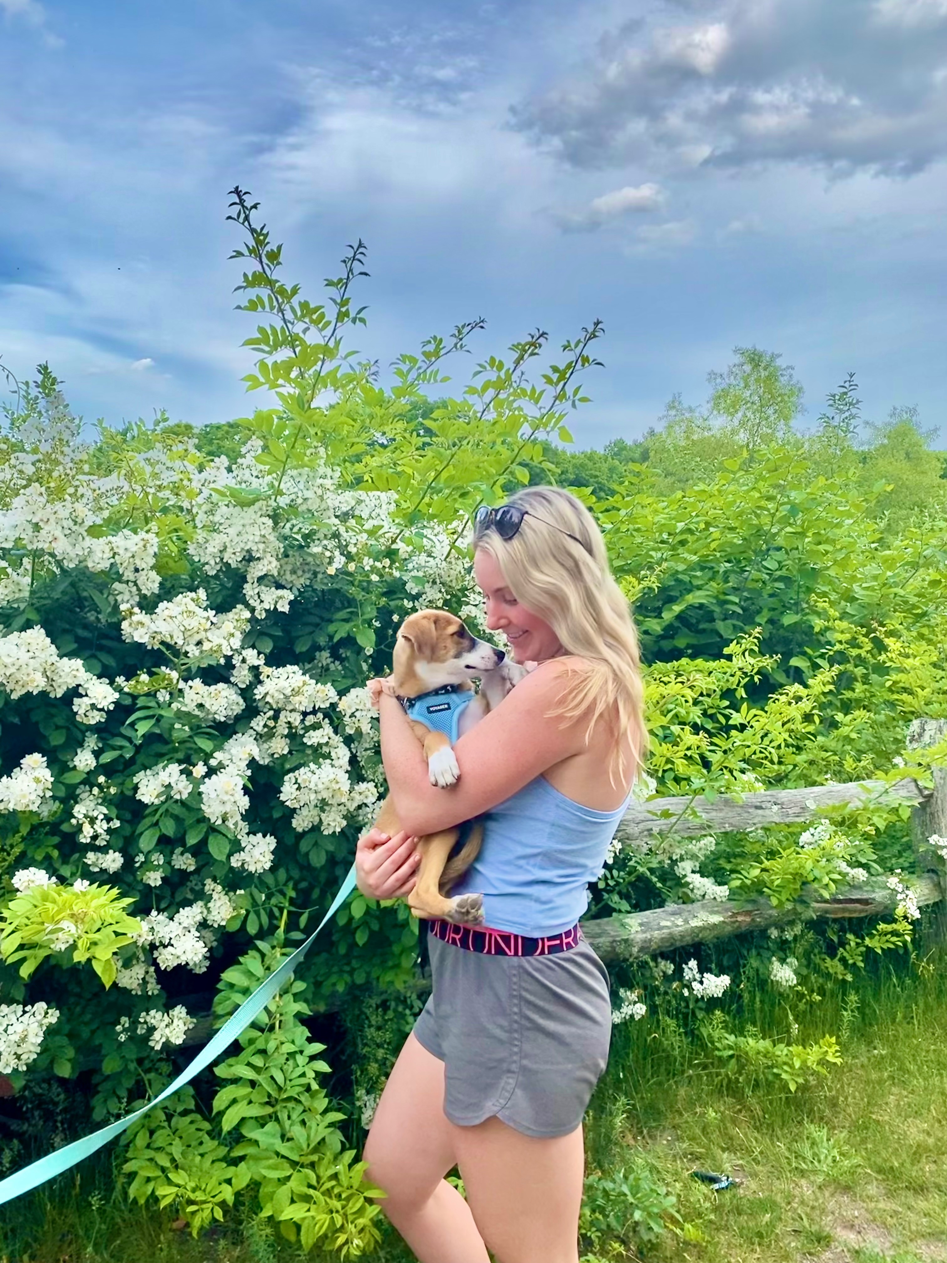 Fundraiser by Meghan Garrity : Help JoJo Get the Care She Desperately Needs