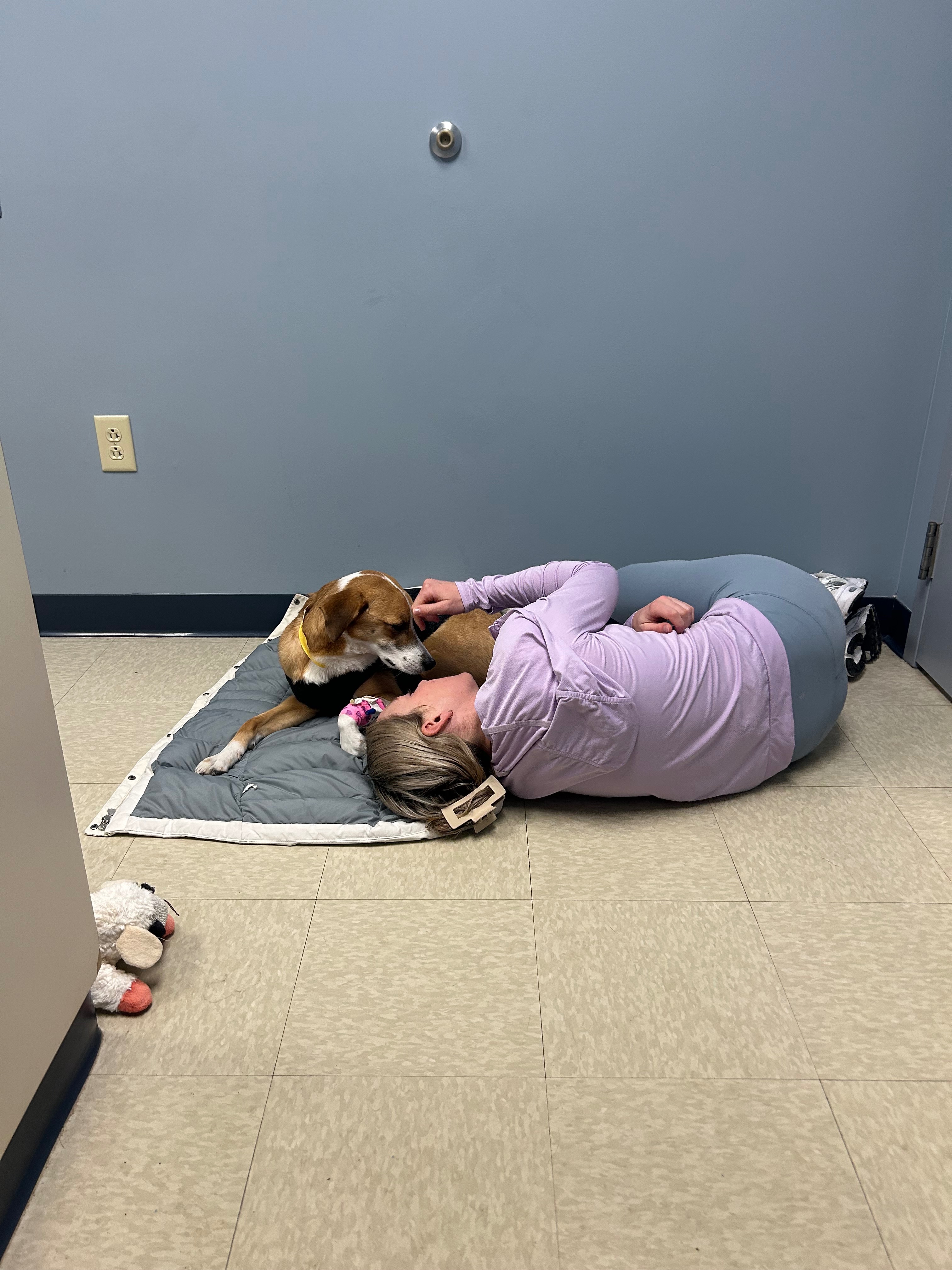 Fundraiser by Meghan Garrity : Help JoJo Get the Care She Desperately Needs