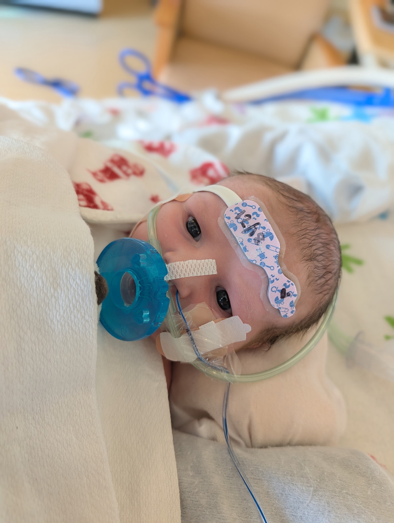 Fundraiser for Scott and Ali Matheson by Molly Turner : Support Baby ...