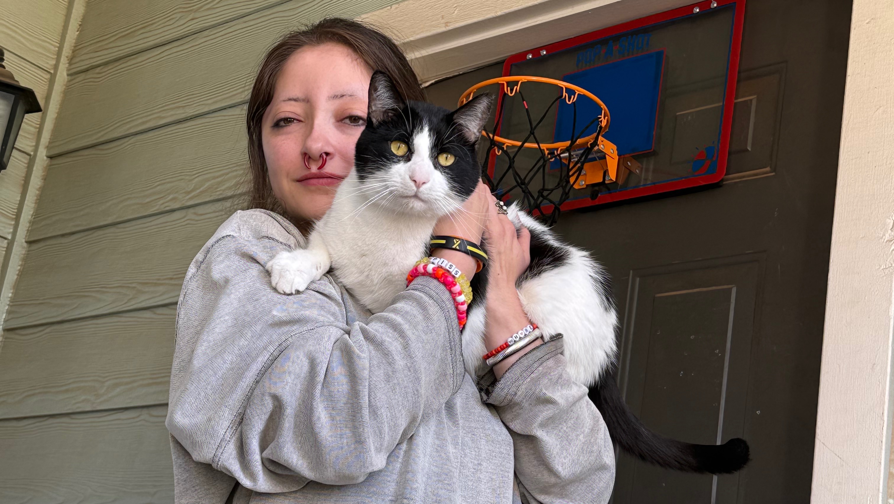 Fundraiser by Jessica LaFoe : Help Chowder Get the Care He Needs