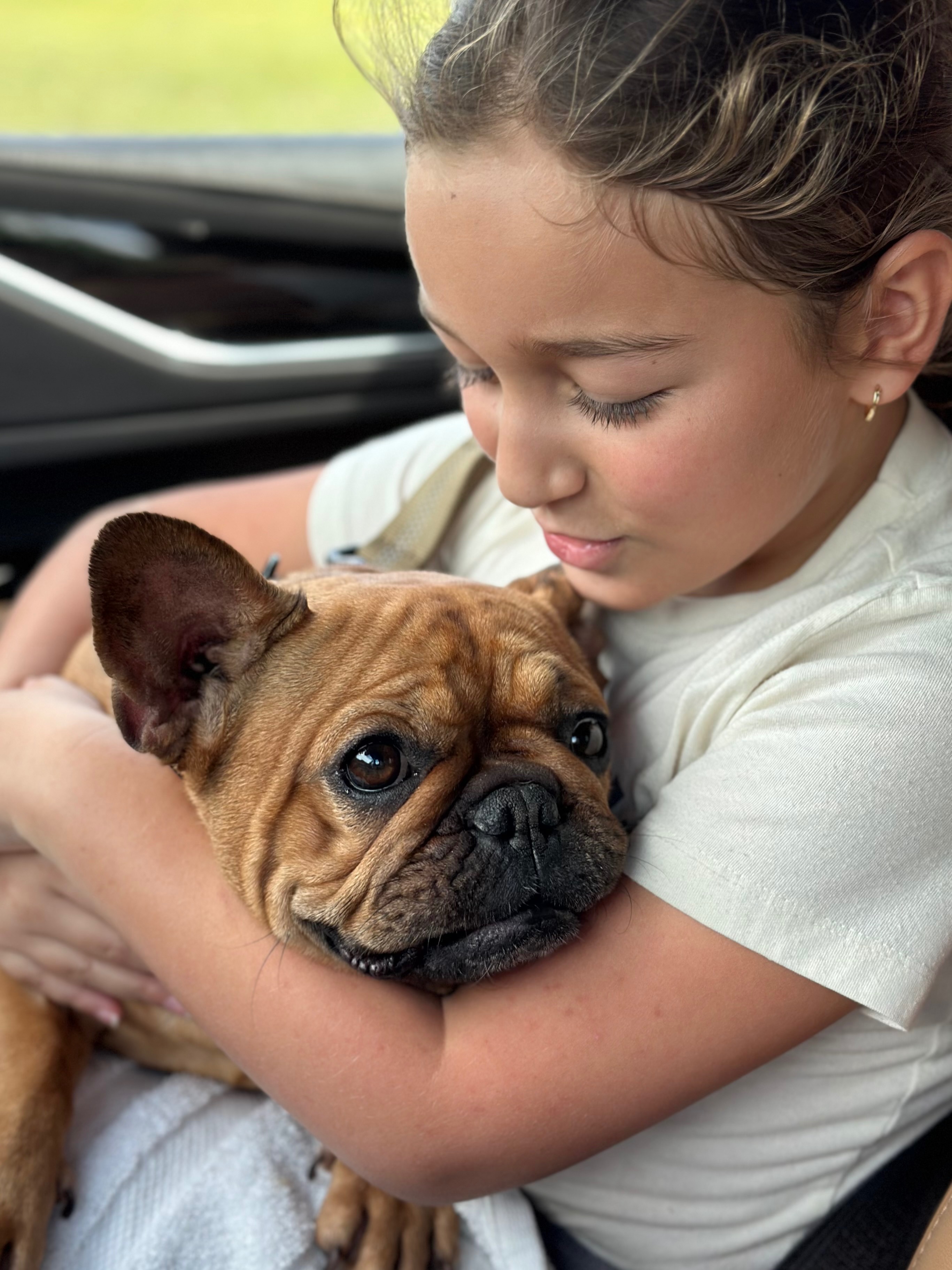 Fundraiser by Megan Maloney : Help Freyja Heal for the Holidays