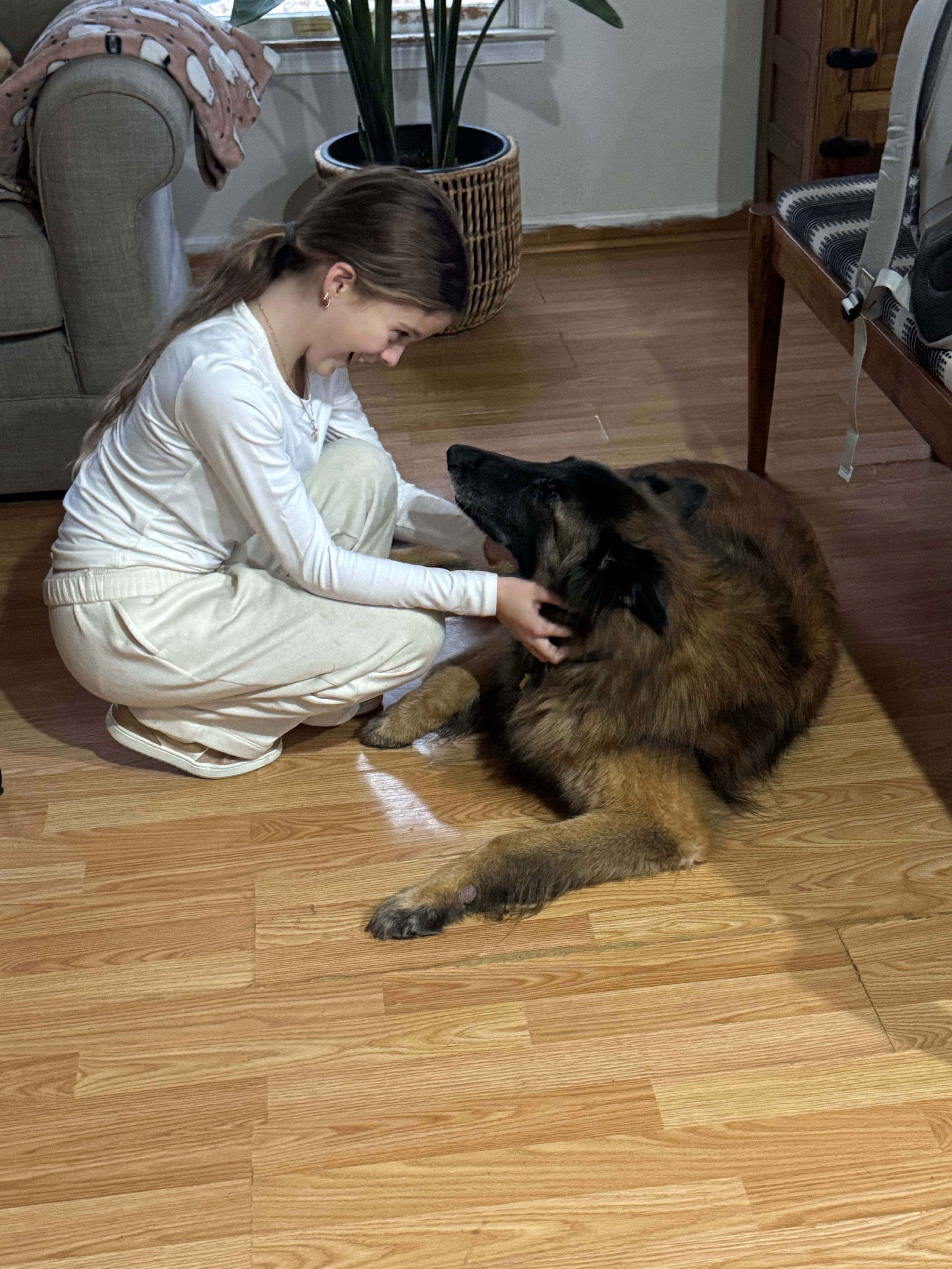 Fundraiser by Christina Miller : Support Christine and Her Pups Through Recovery