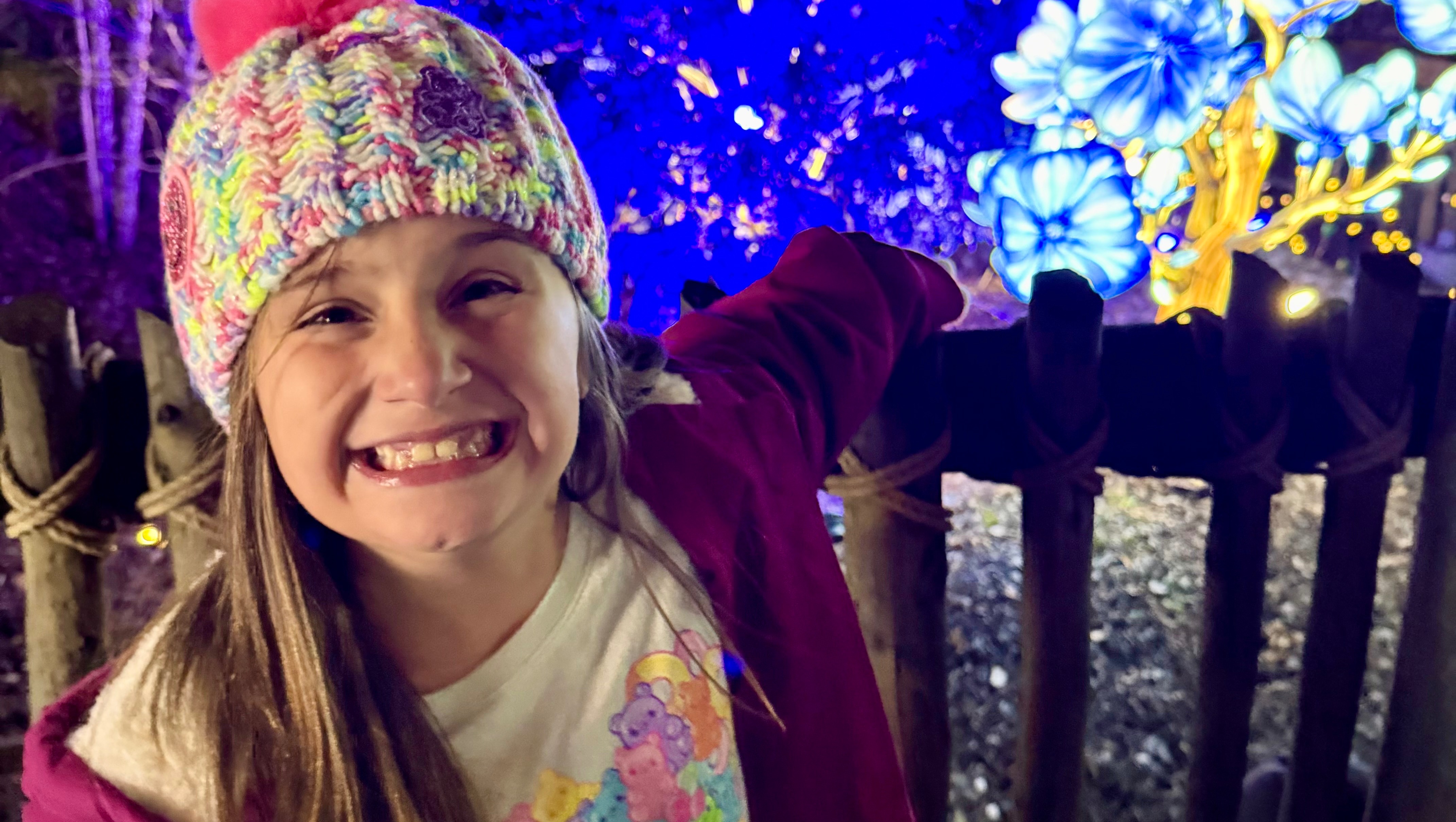 Fundraiser by Emily Jeanise : Help Keep Chloe Safe This Christmas