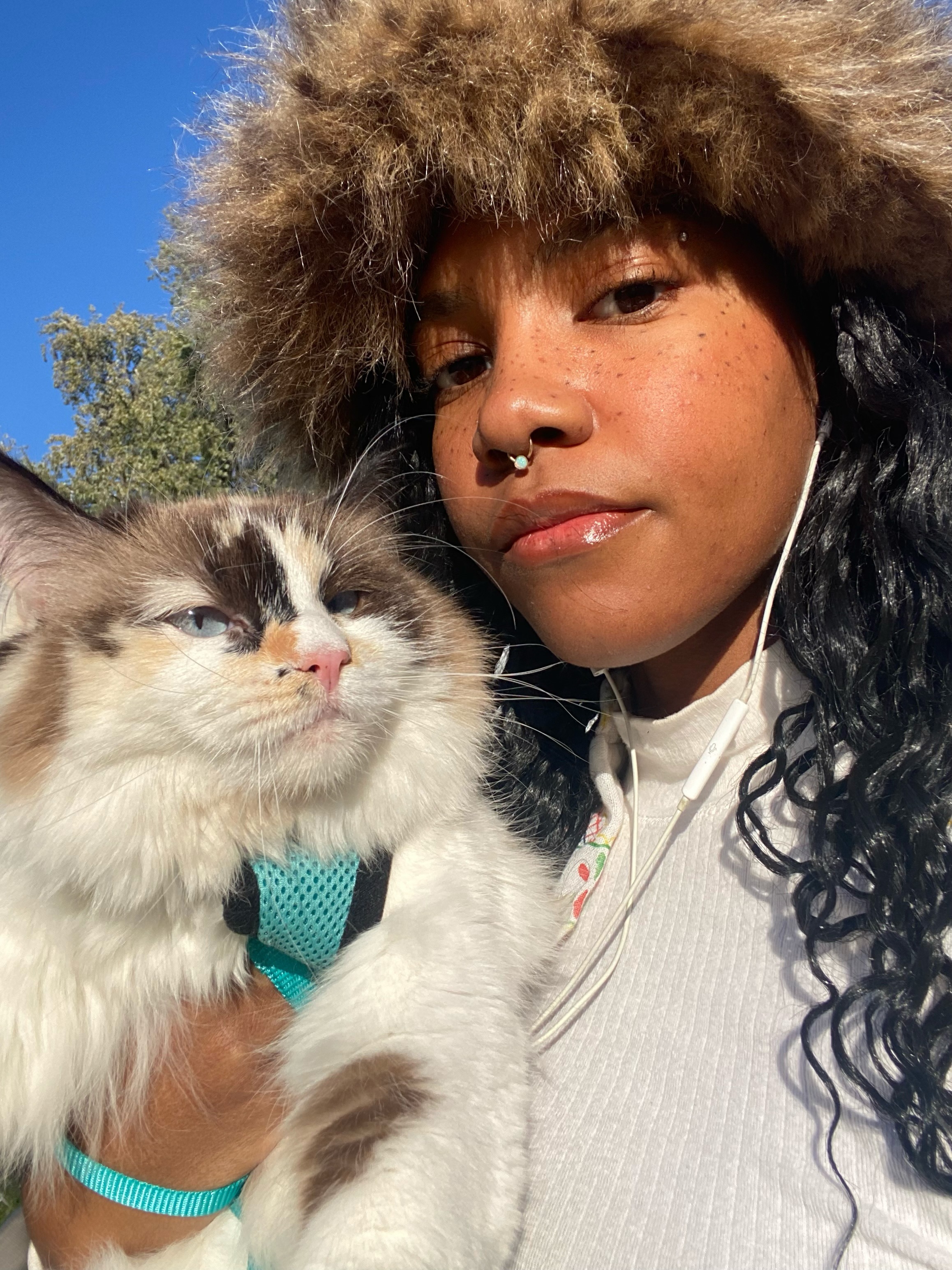 Fundraiser by Ren Wilson : Mochi Support Fund