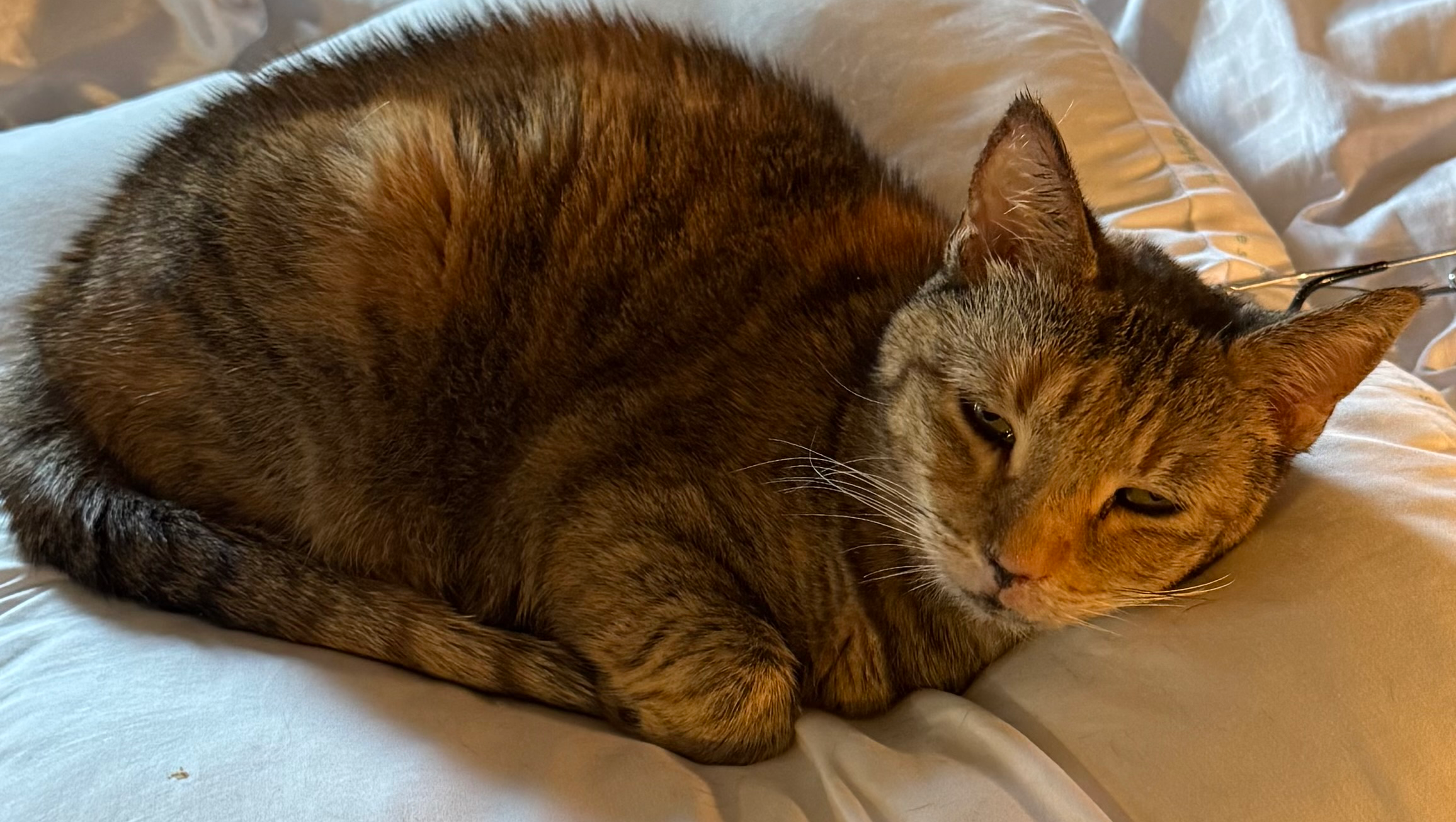 Fundraiser for Terry Keith Veitenheimer by Cat Yampell : PLEASE Help ...