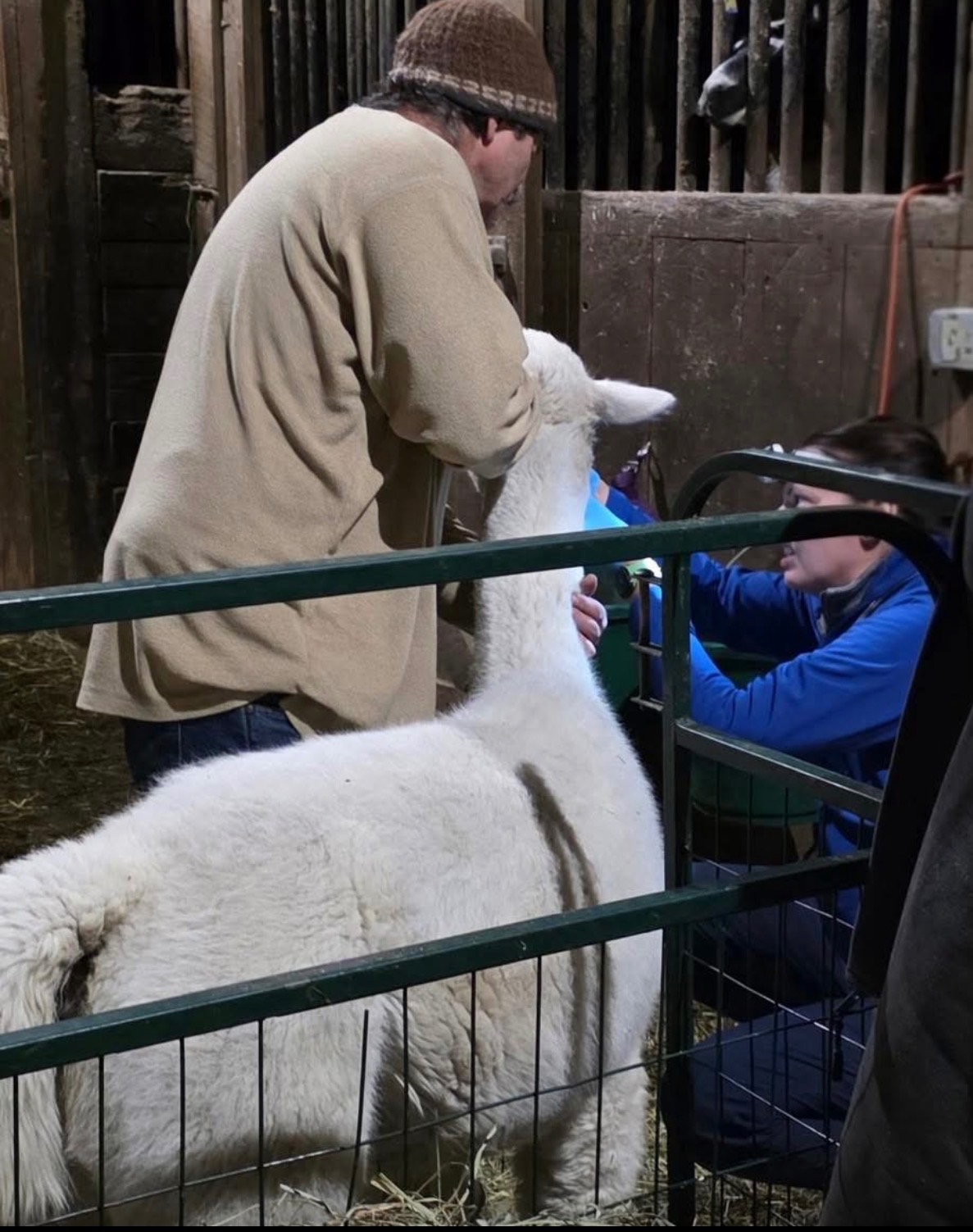 Fundraiser for Debra Tetreault by Emily Bonci : Love for Lyra ...